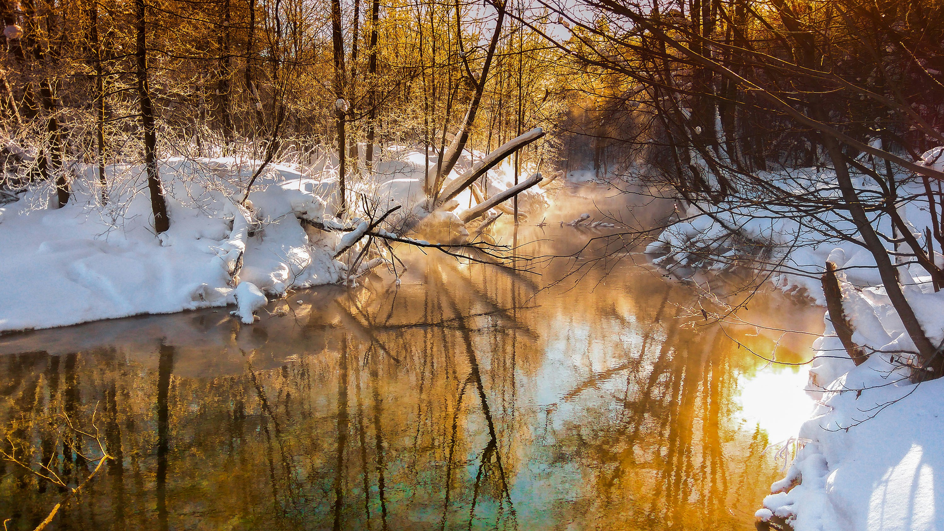 ProHoster Info (@prohoster_info) | Unsplash 사진 커뮤니티