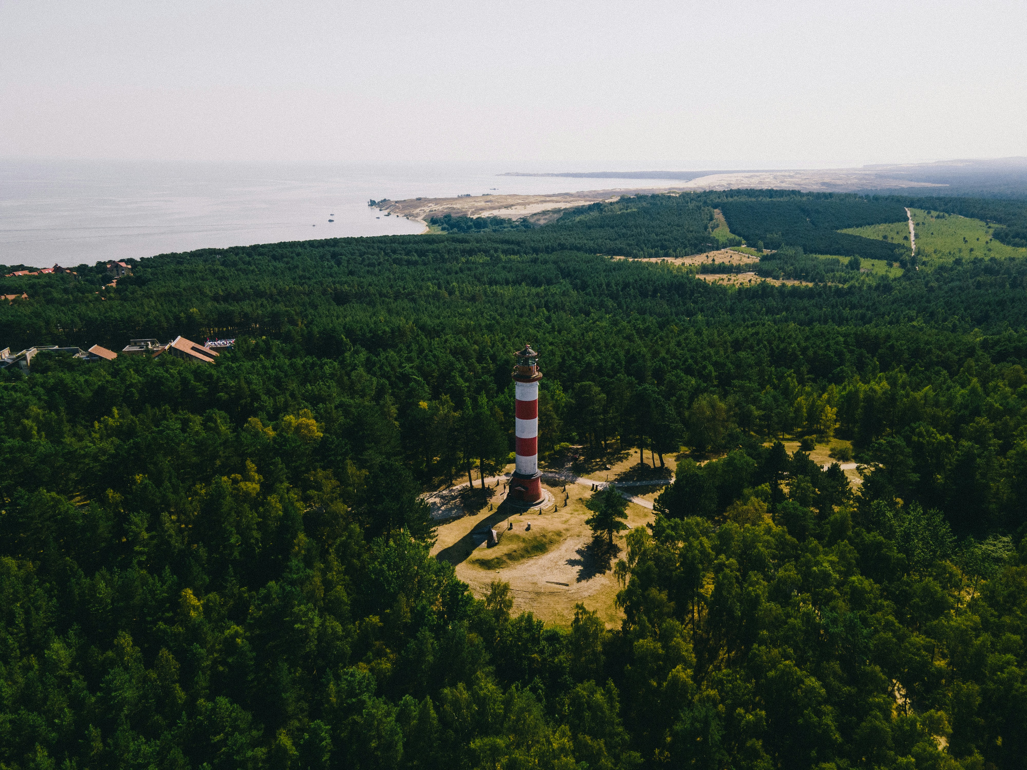 A red and white striped lighthouse stands surrounded by dense forest, overlooking the coastline and ocean. The scene captures the harmony between nature and maritime navigation.