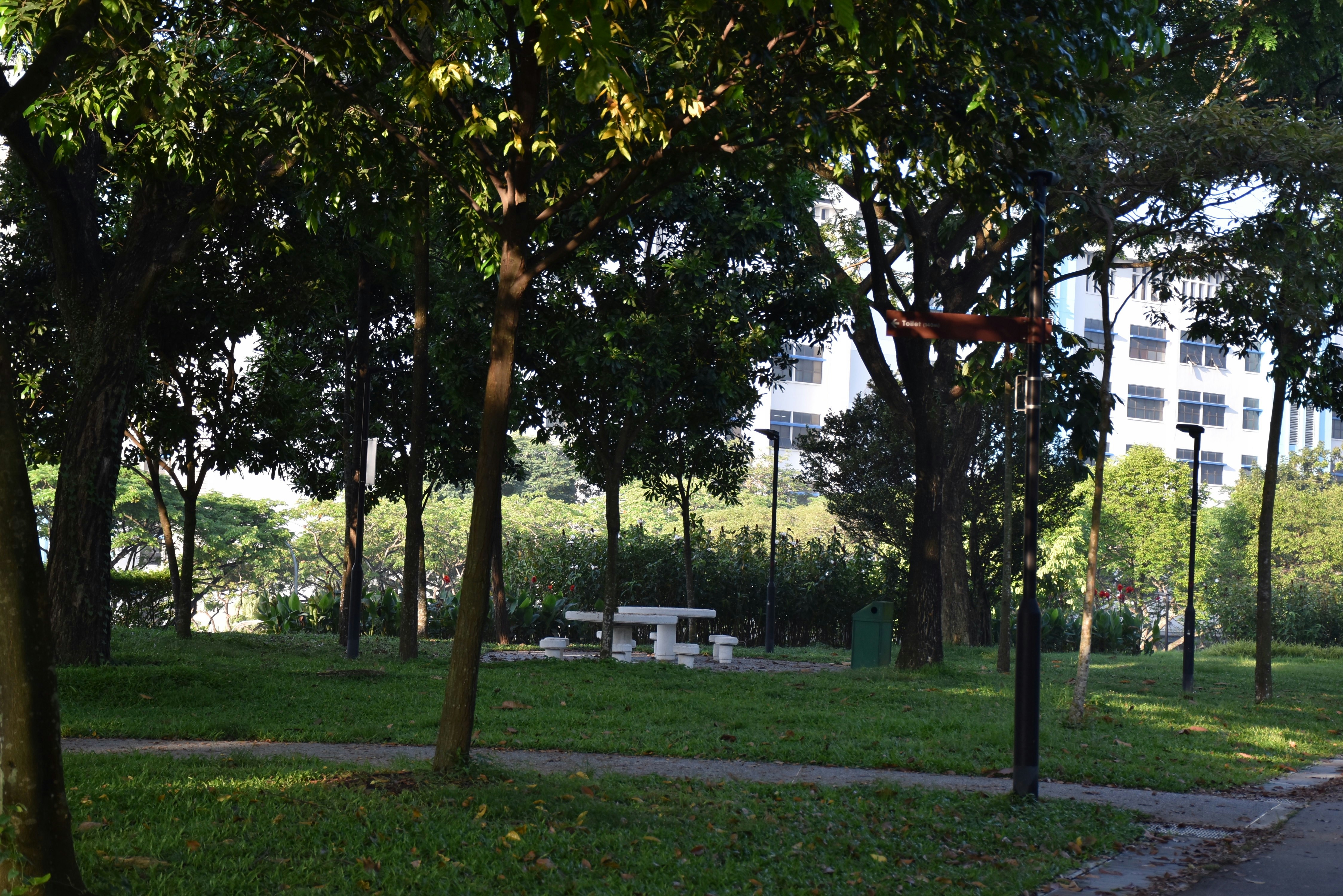 Orange Frisbee Soaring Over a Quiet City Park