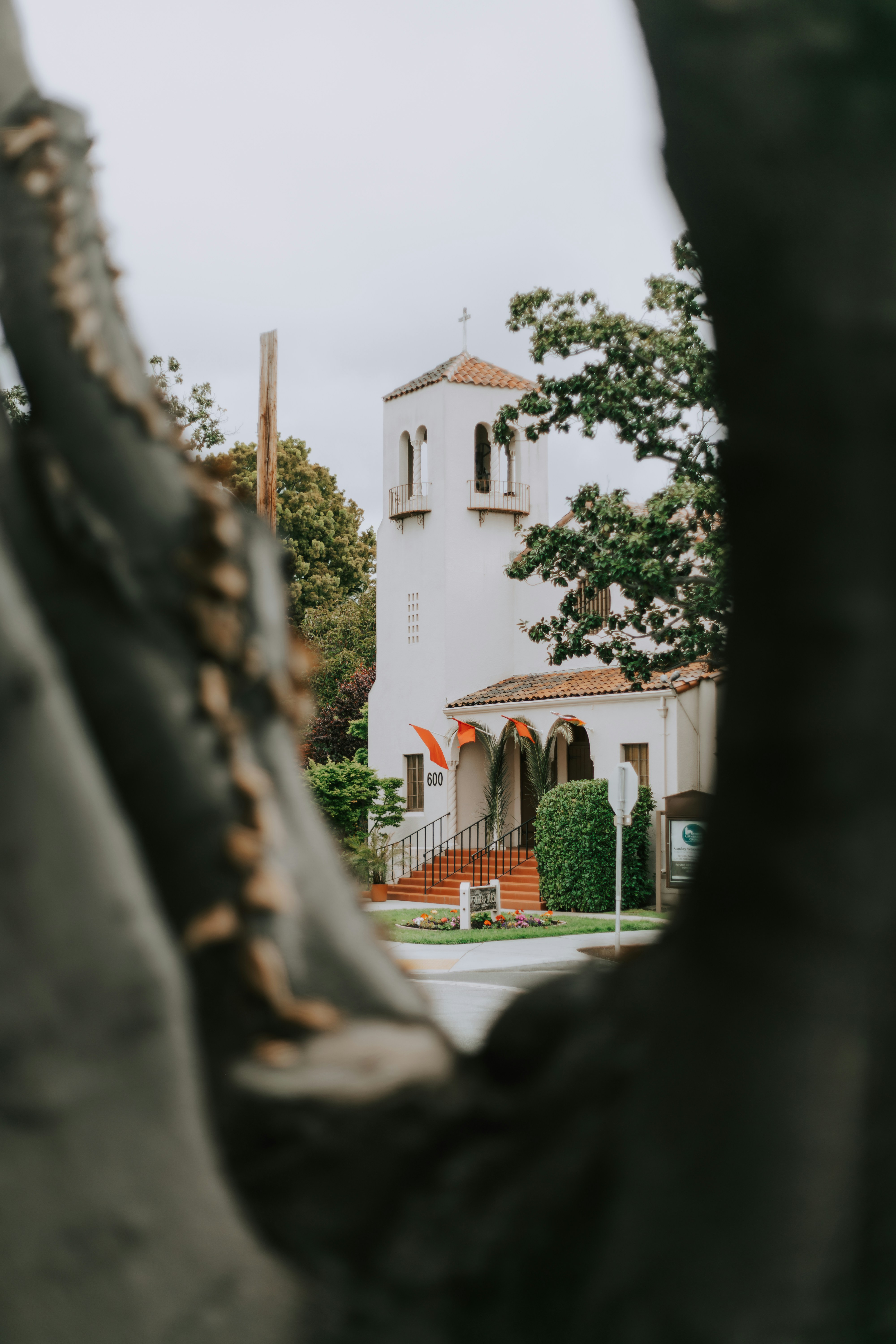 Architectural Quiet: A Chapel Framed Through Nature’s Frame