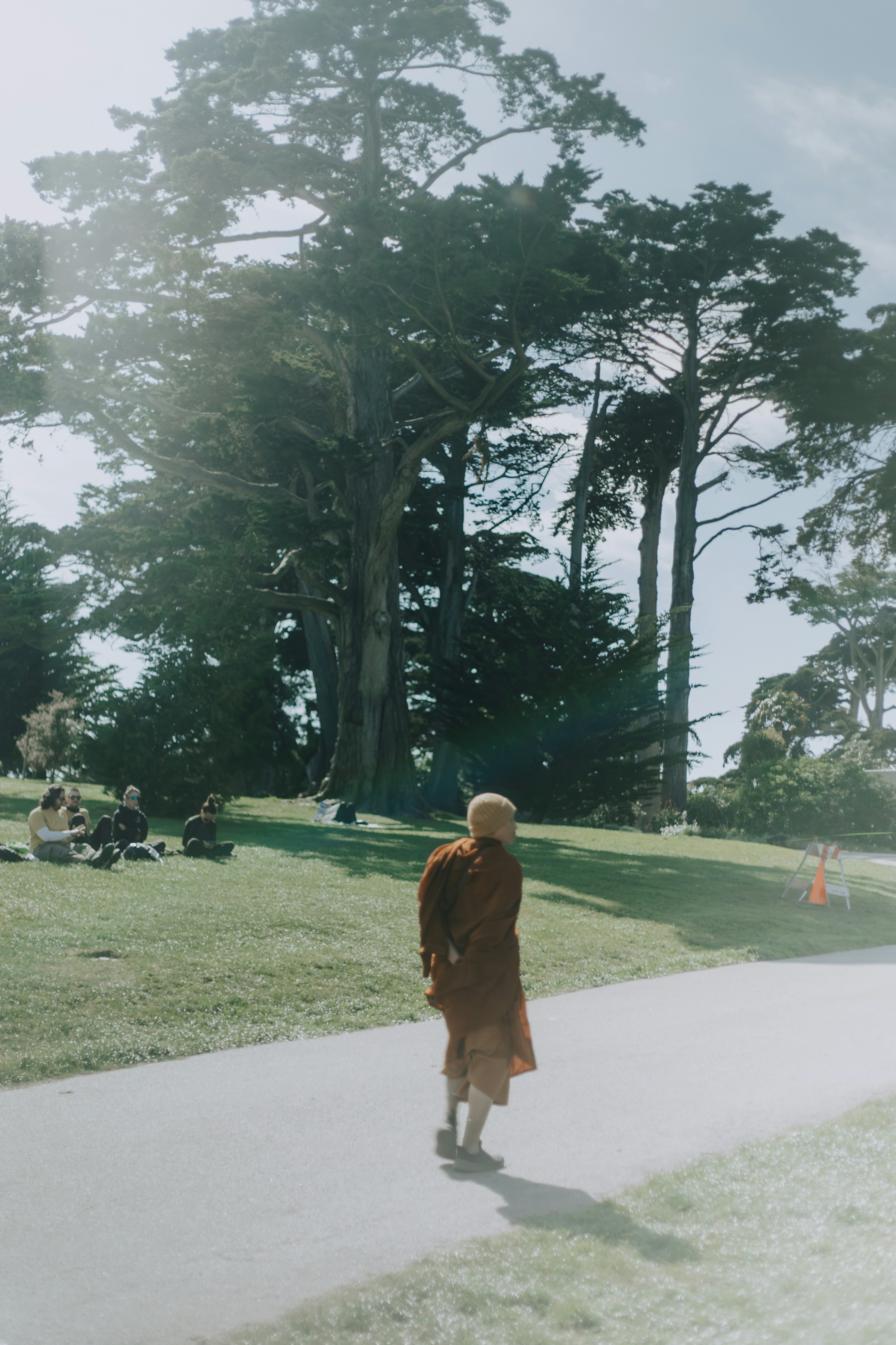 A Serene Stroll Through Nature's Embrace