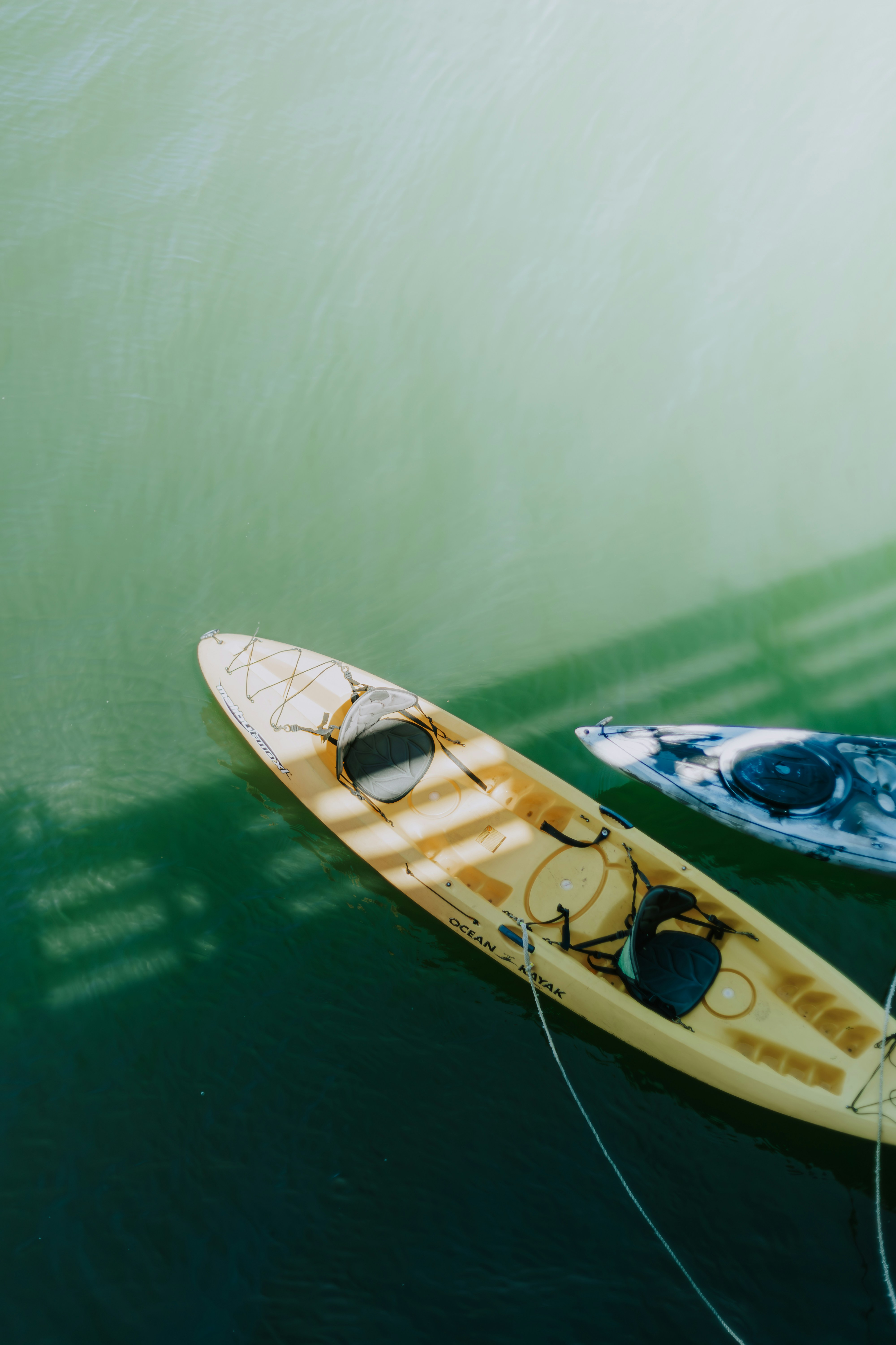Two kayaks float on a murky, green body of water. photo – Free Sea ...