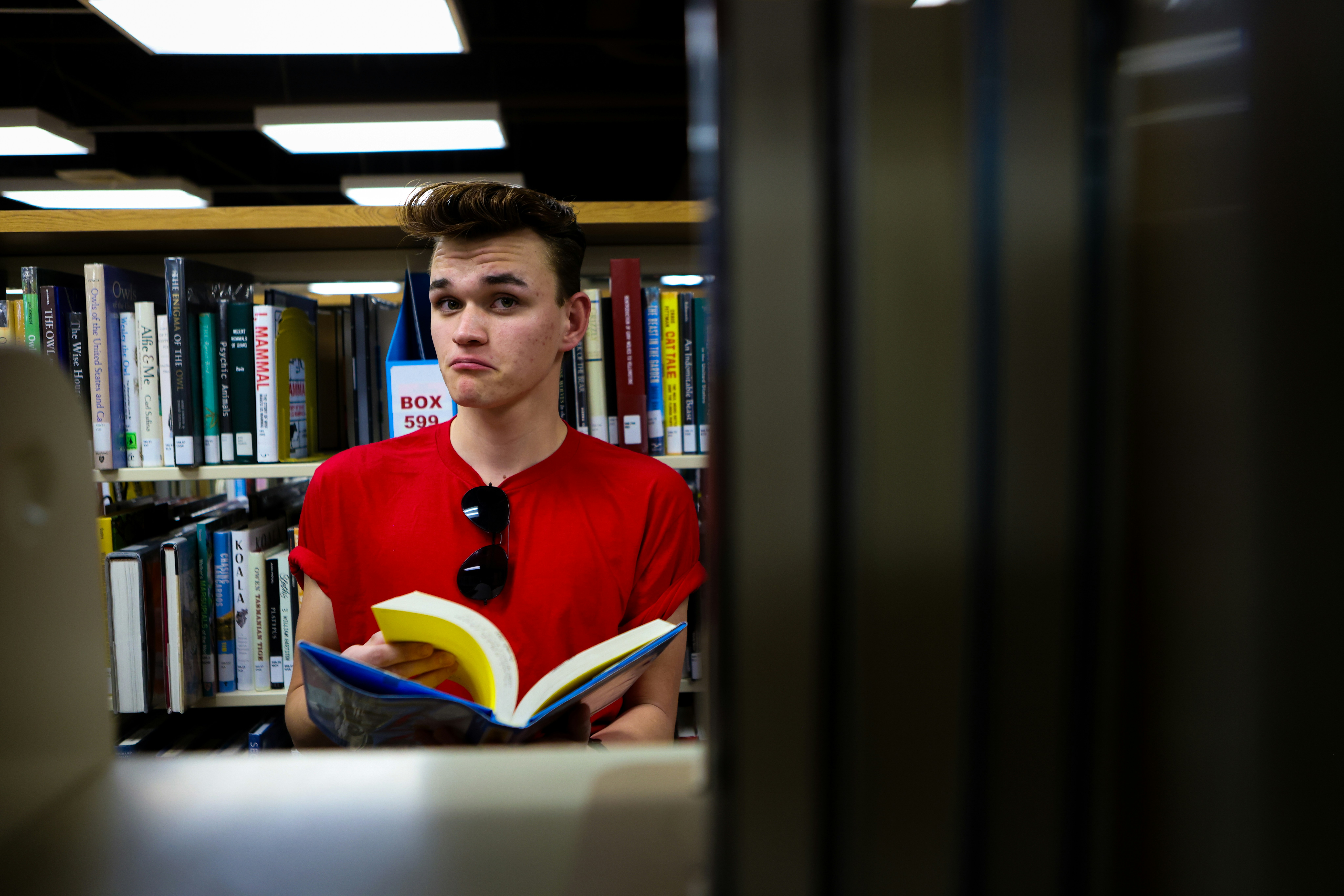 A student is posing in the library. photo – Free Library Image on Unsplash