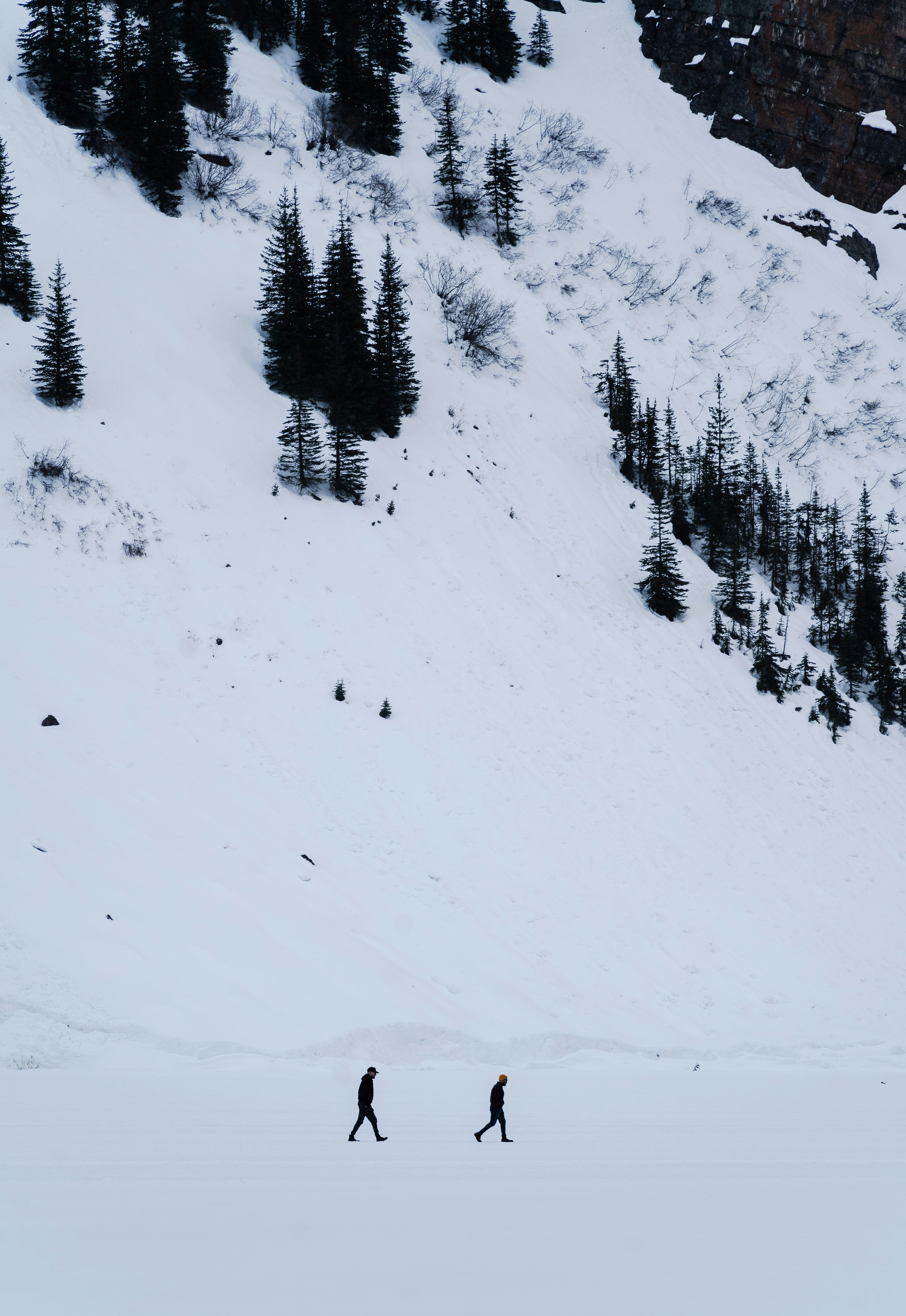 Two figures walk across the snowy landscape.