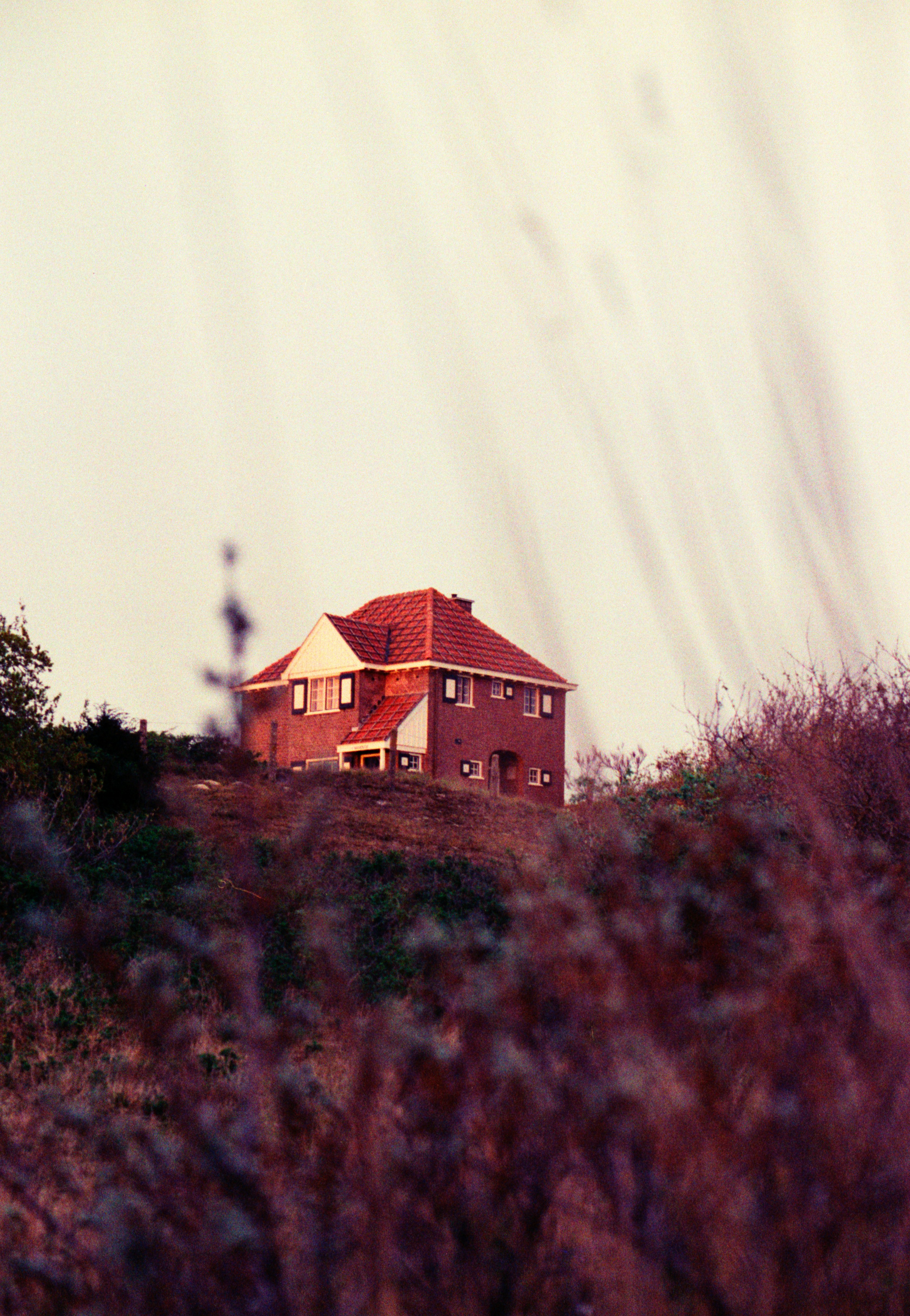 This is a reversed Lomography Redscale film. Redscale stocks are wound backwards, so light enters through the base and hits the red-sensitive layer first, causing the strong red tint. To bypass this, I re-spooled the film the right way, exposing it like regular color negative film. Since these rolls were expired and gifted, it was the perfect chance to experiment and recover more natural colors from an otherwise niche film type. Grain and color shifts may still occur due to age, but that’s part of the charm.