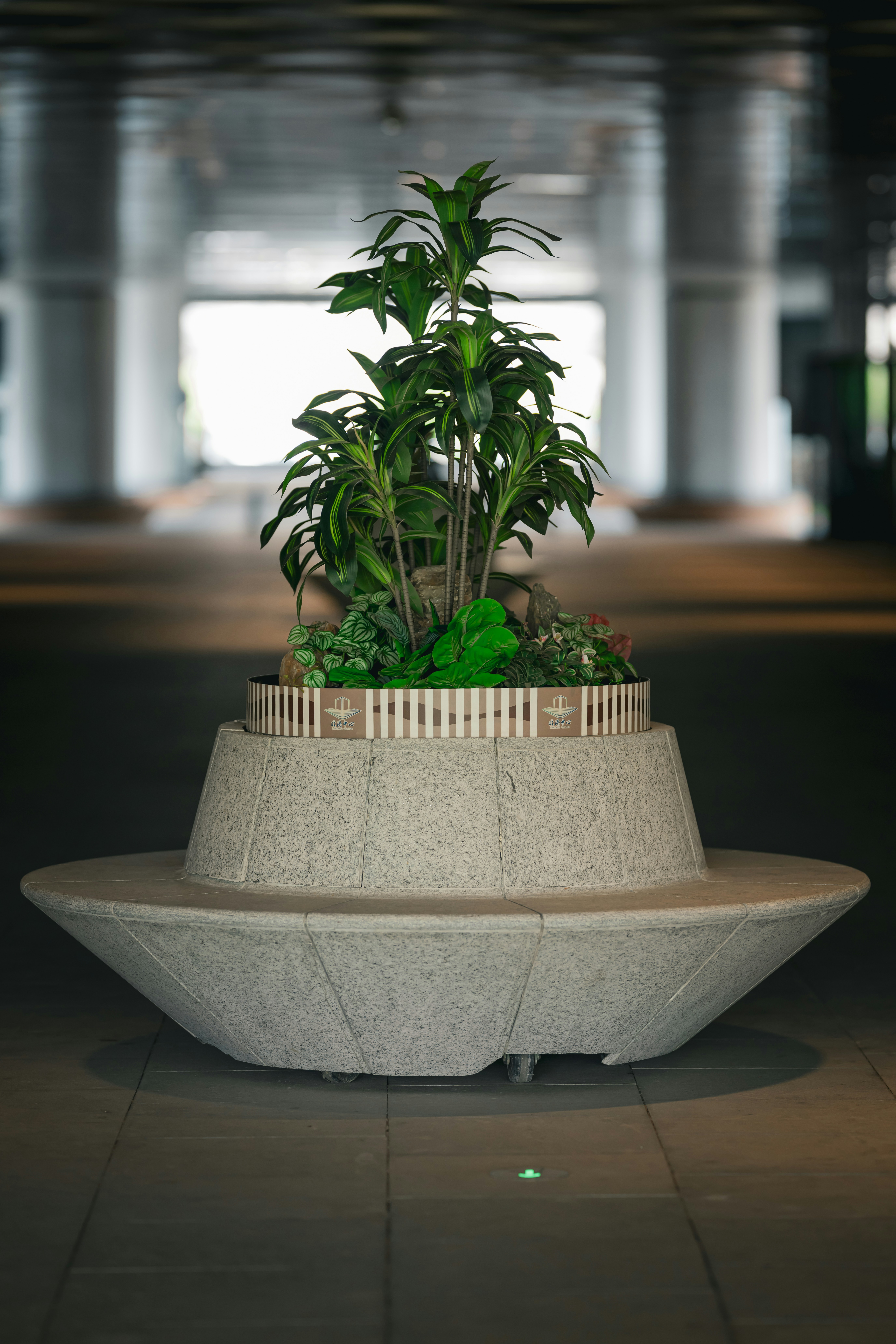 A planted planter in an urban, underground space. photo – Free Texture ...