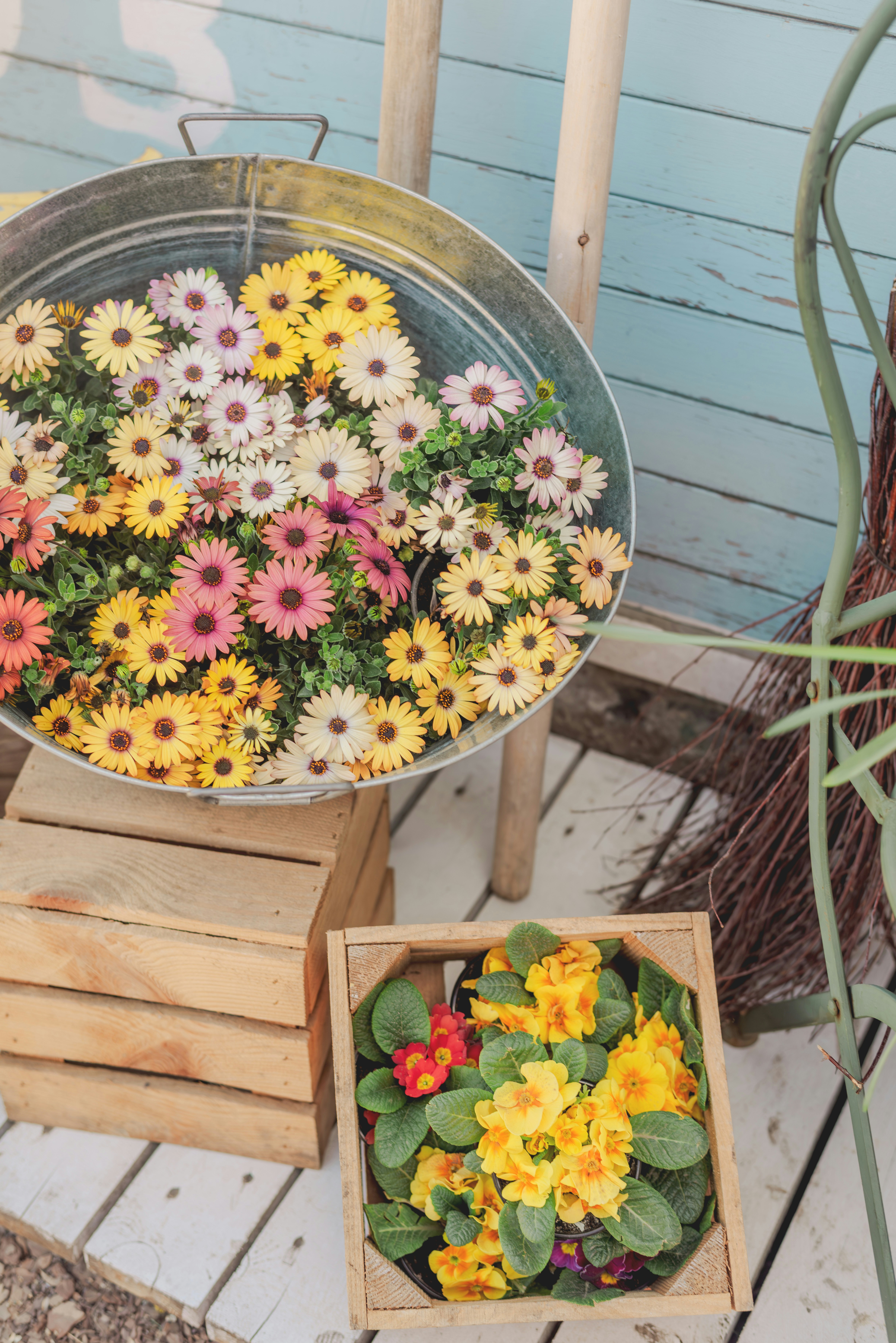 Flowers overflow from a basin and box. photo – Free Ukraine Image on ...