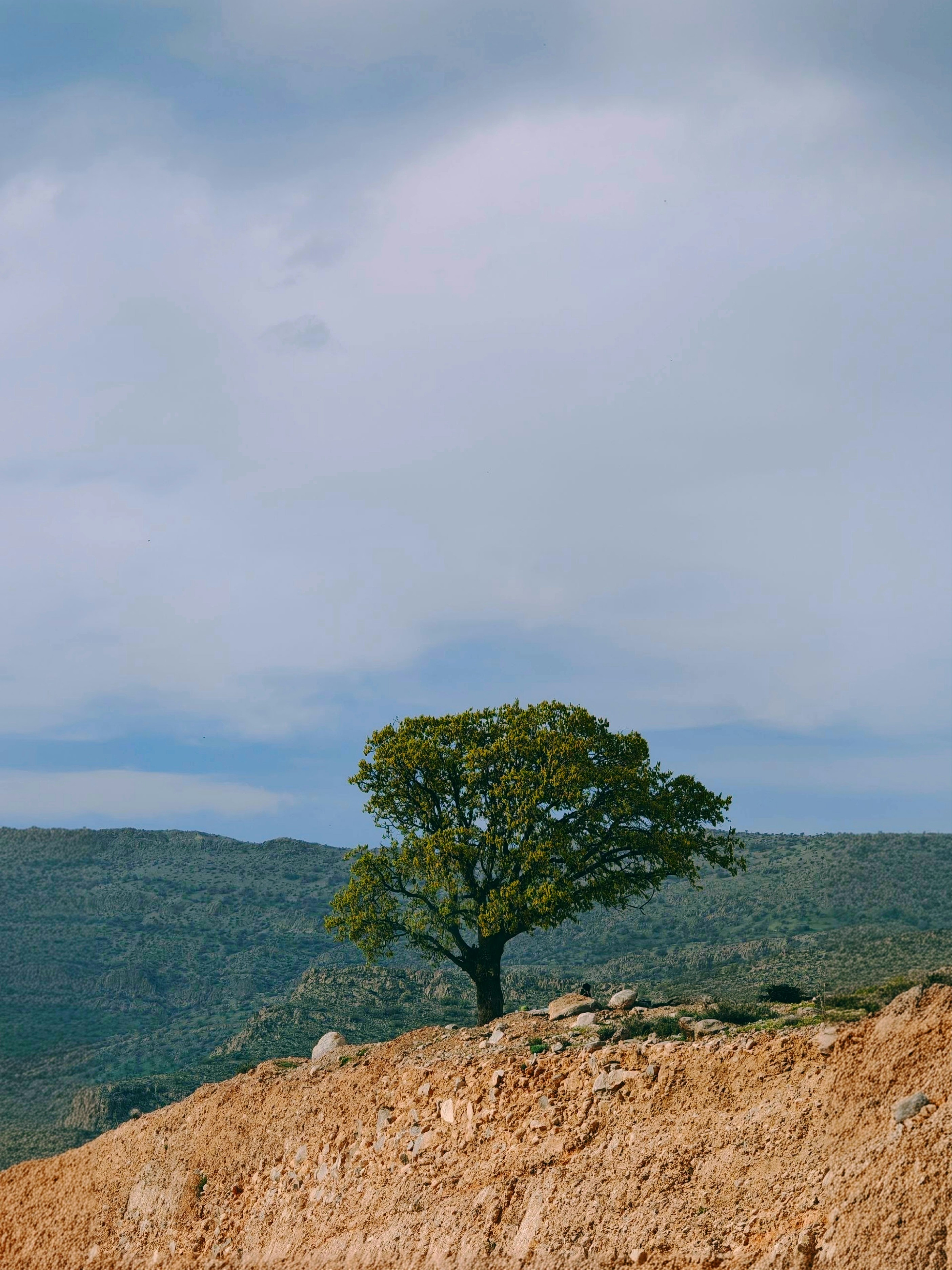 Sample photo from Honor Magic6 Pro