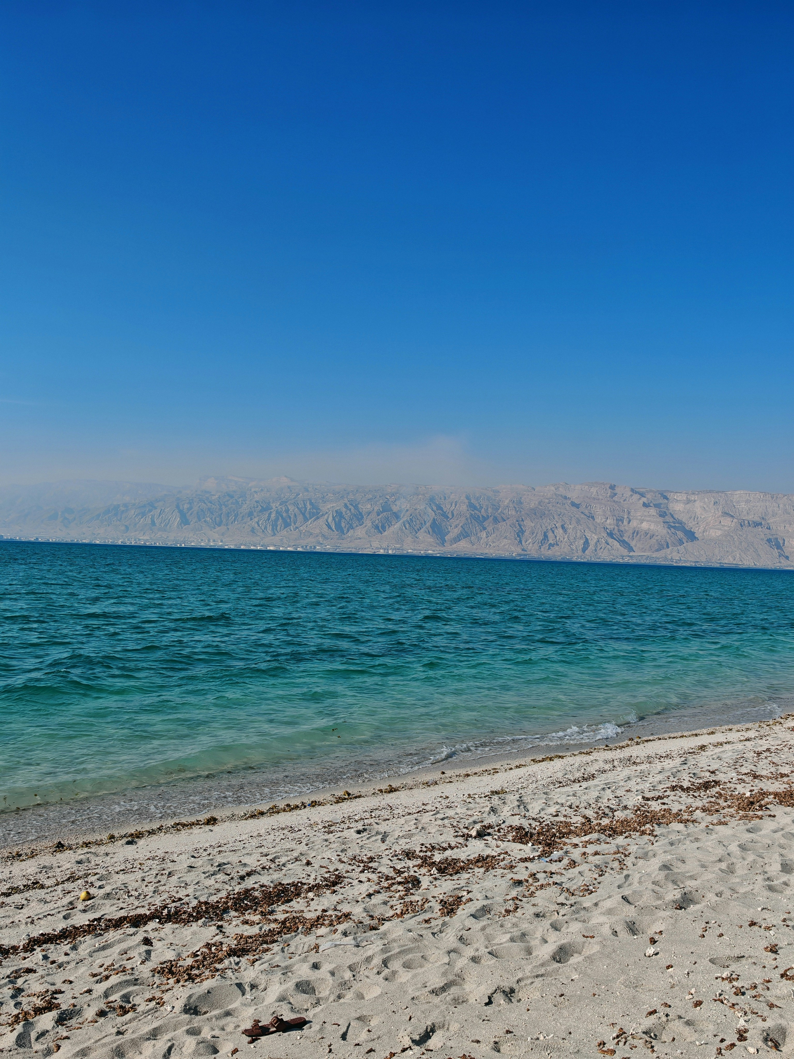 Sample photo from Honor Magic6 Pro