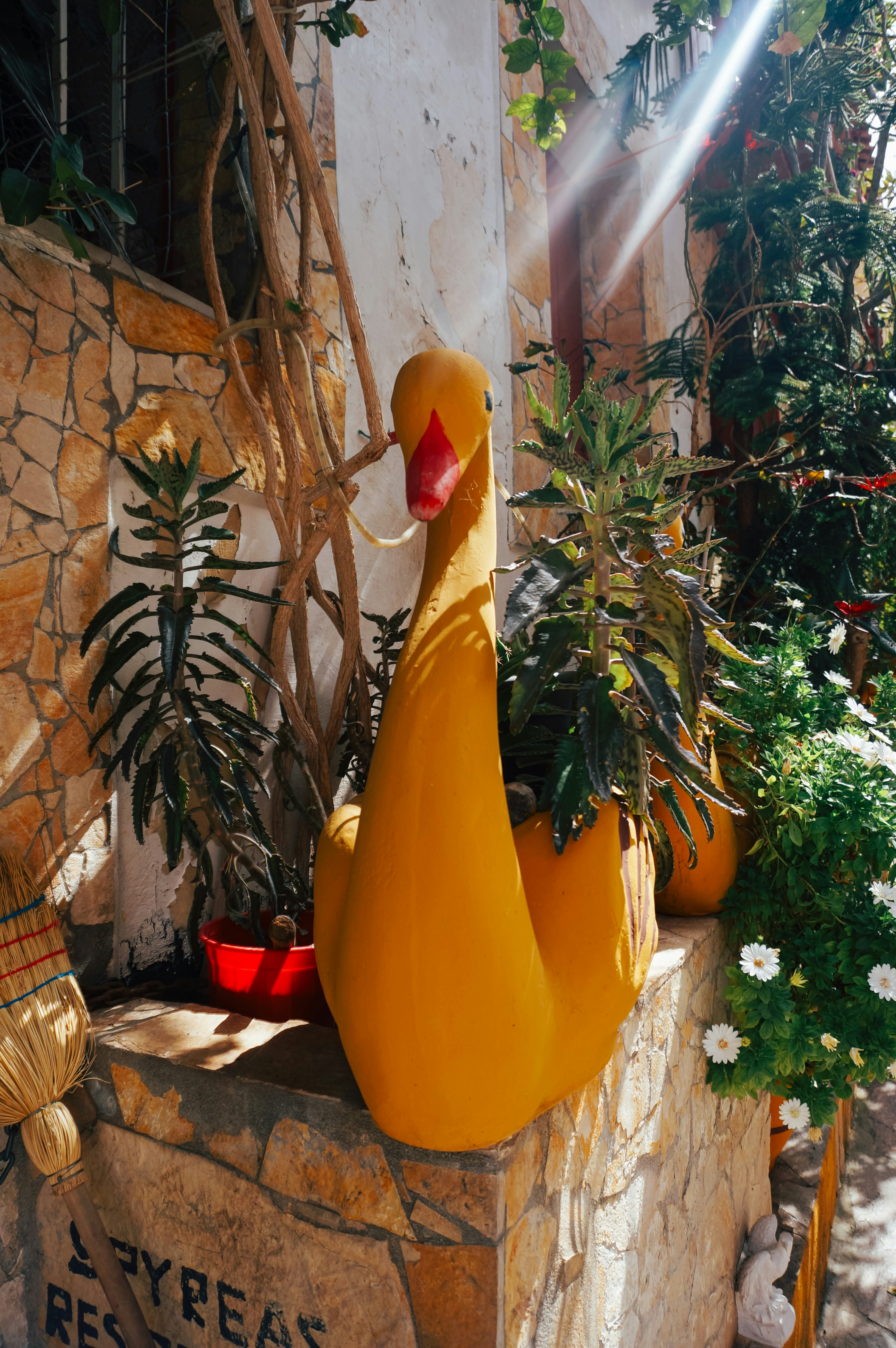 Photo by Jack Niles with Sony Alpha NEX-6