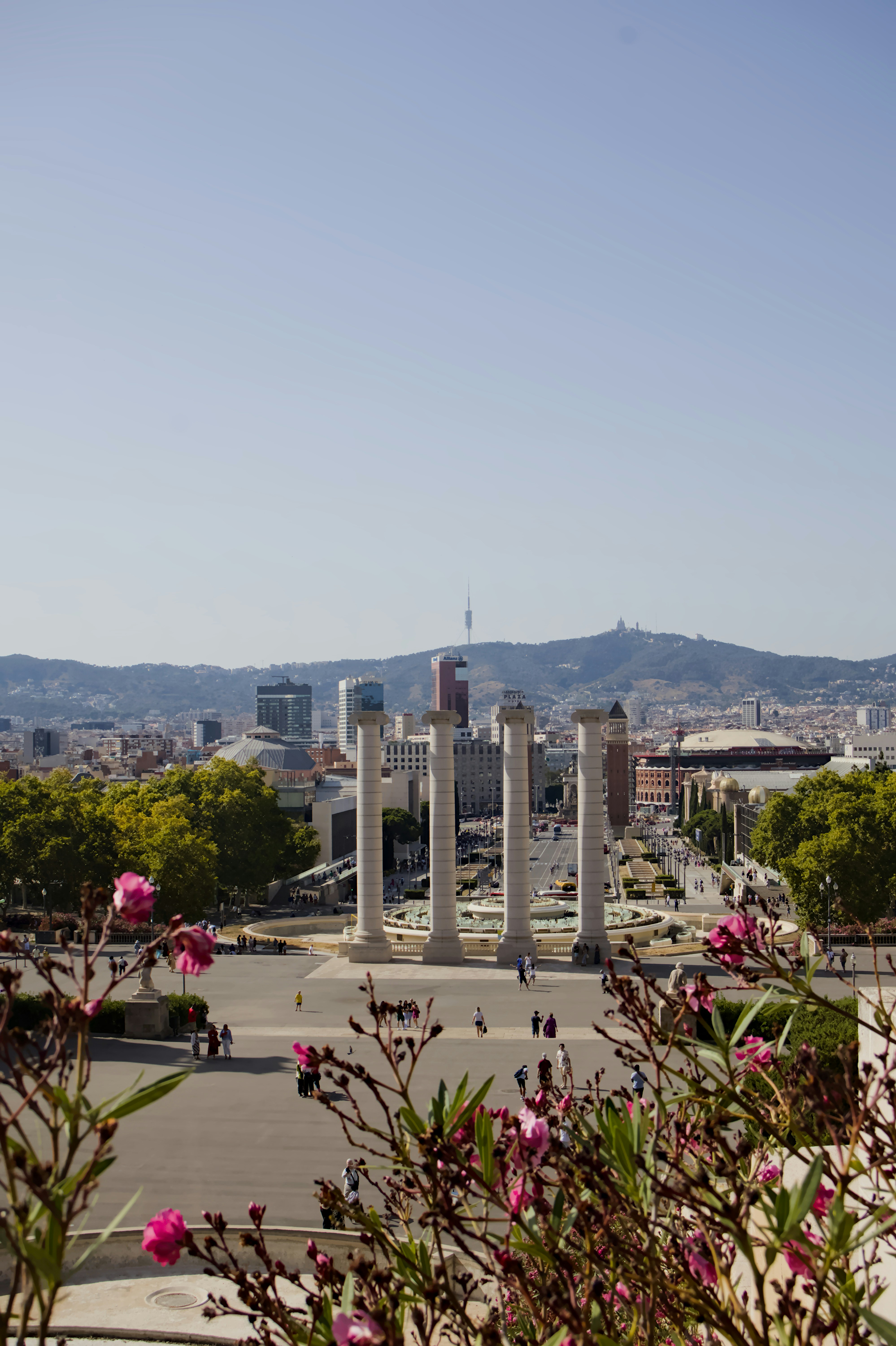 Columns Boulevard: Framing Barcelona's Skyline in Morning Light