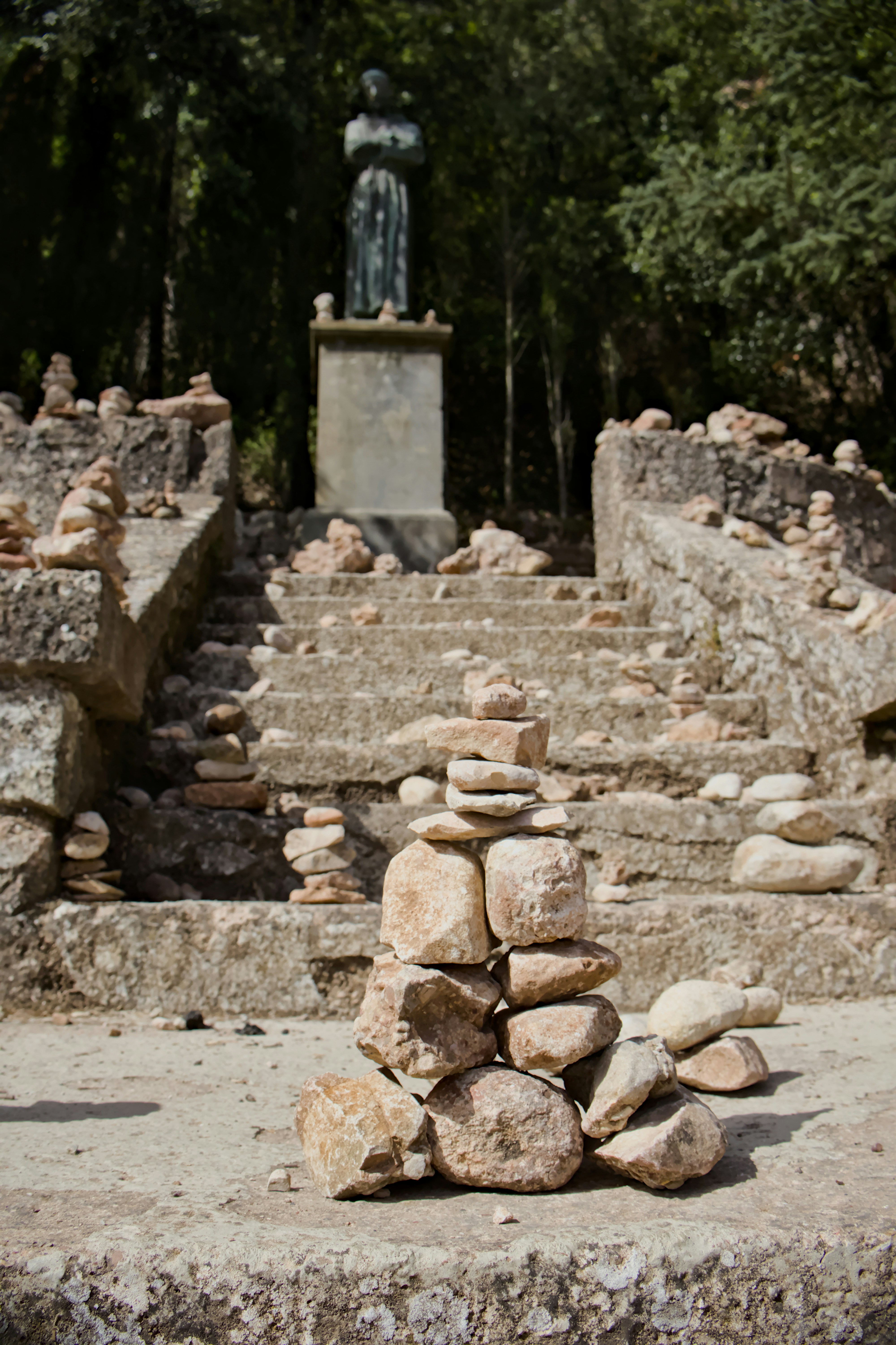 Photo by Will Goodman with Canon EOS R50