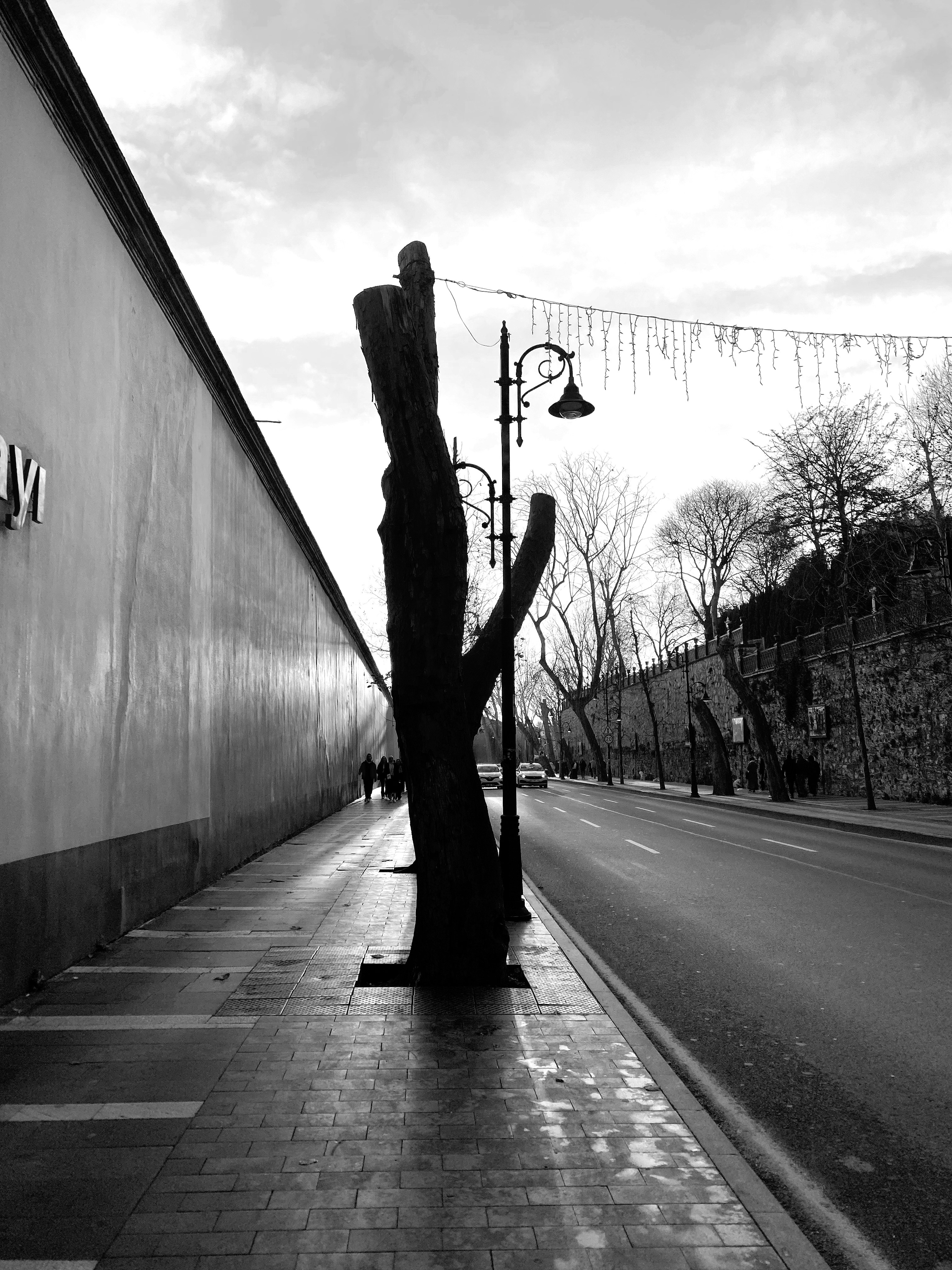 Sentinel on the Sidewalk: A Monochrome Stump Framing a Quiet Boulevard