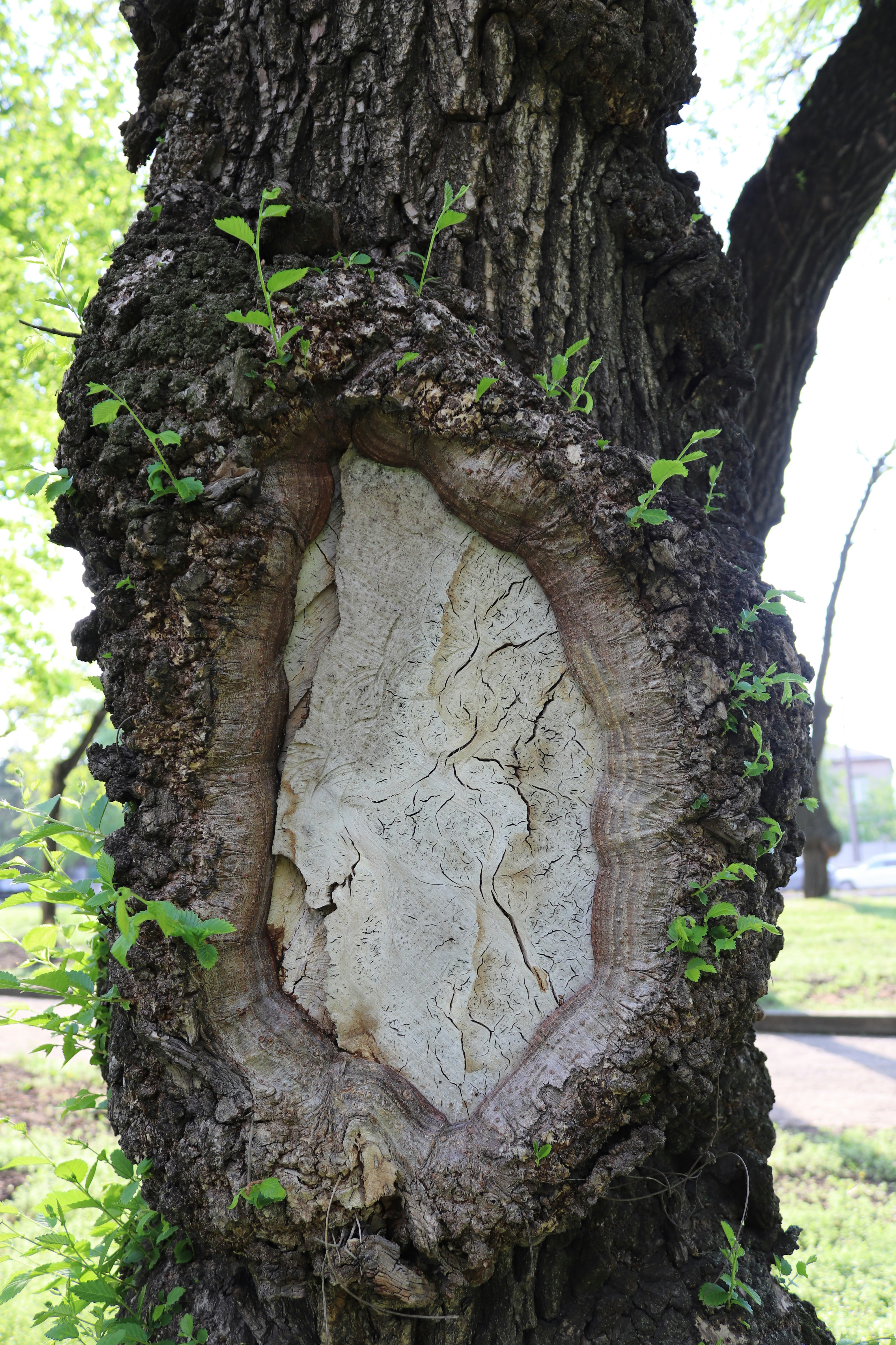 Photo by Julia Ly with Canon EOS 200D