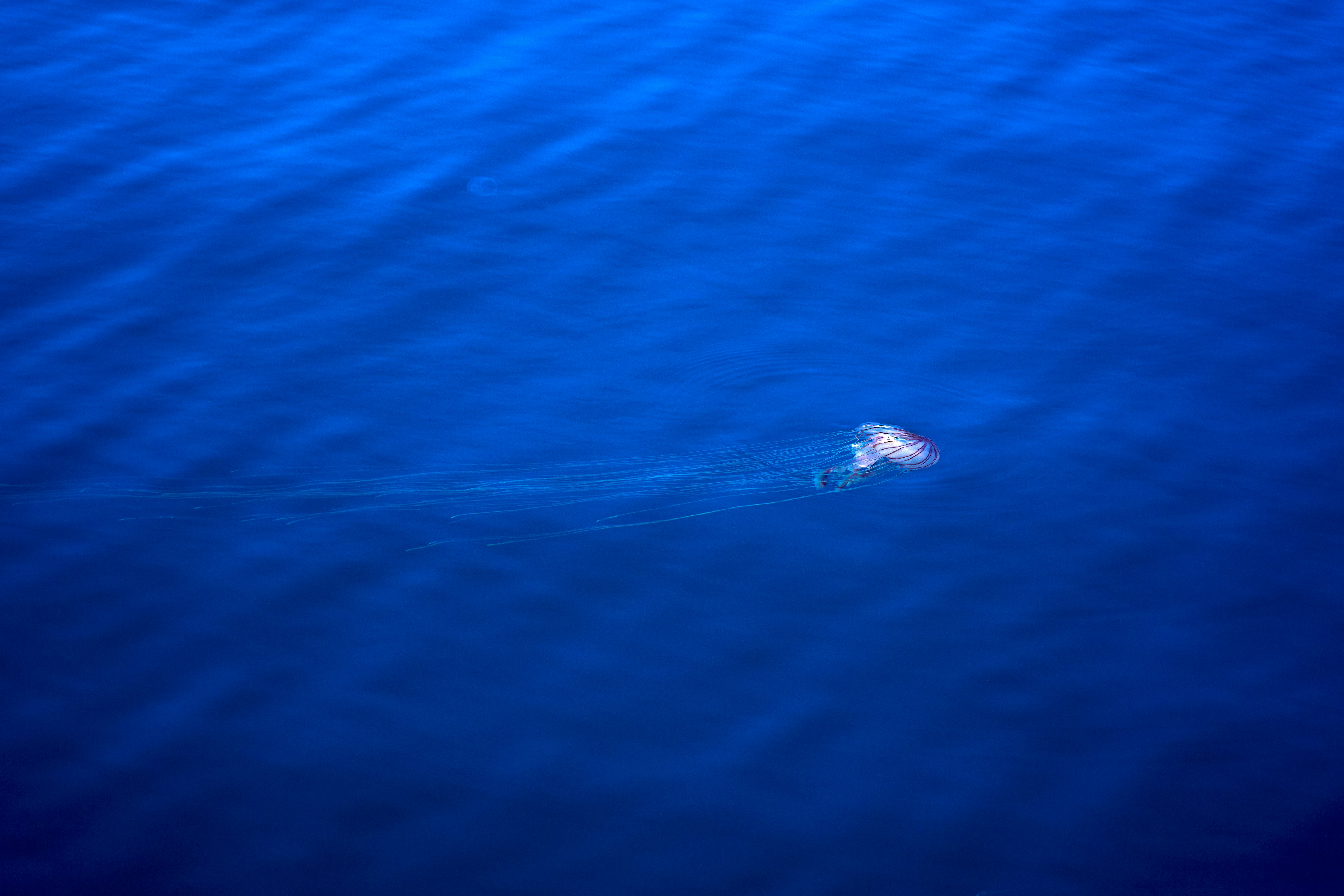 Cobalt Wake: a solitary vessel etches a silver trail across the blue expanse