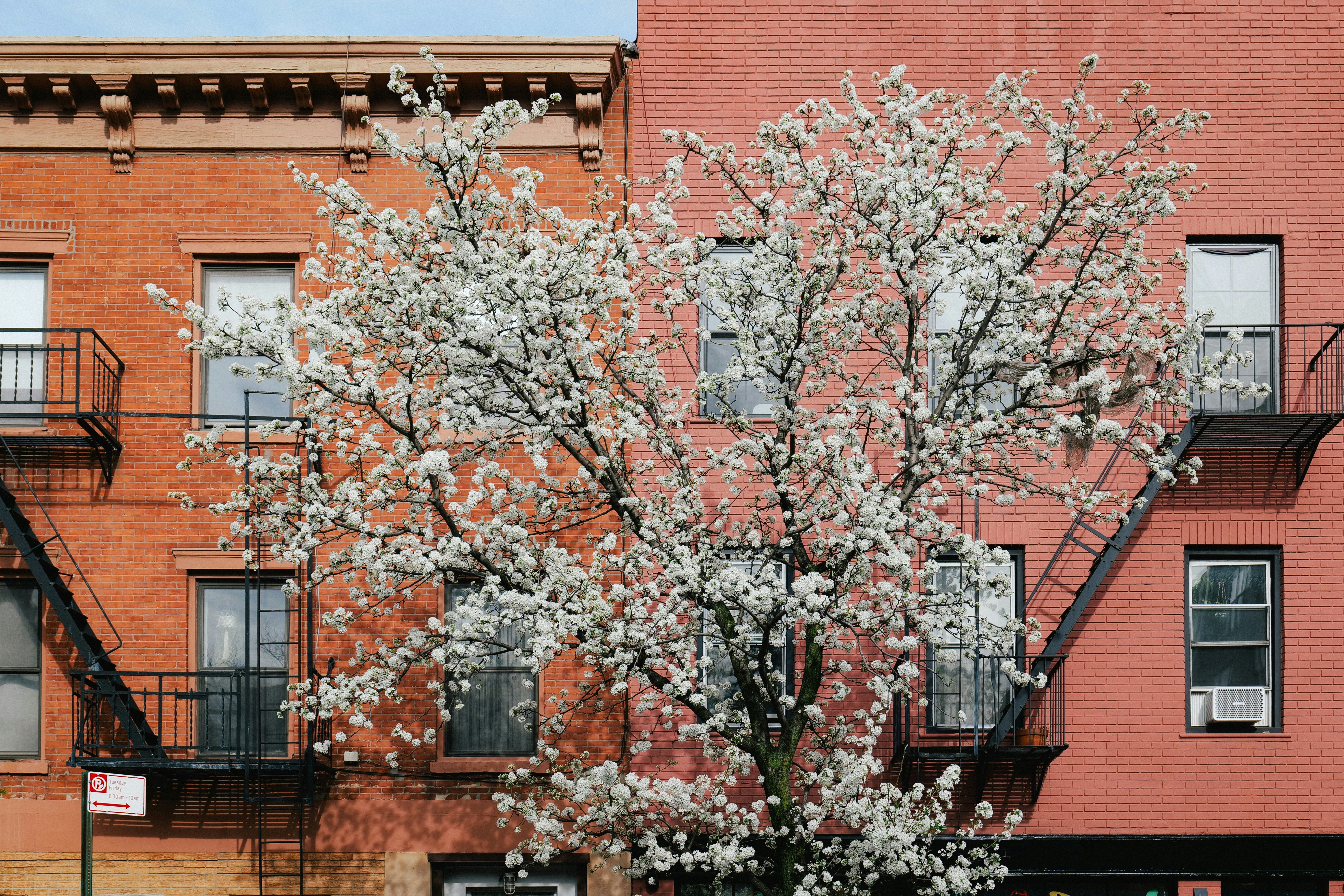 Photo by Zooey Li with Panasonic Lumix S5