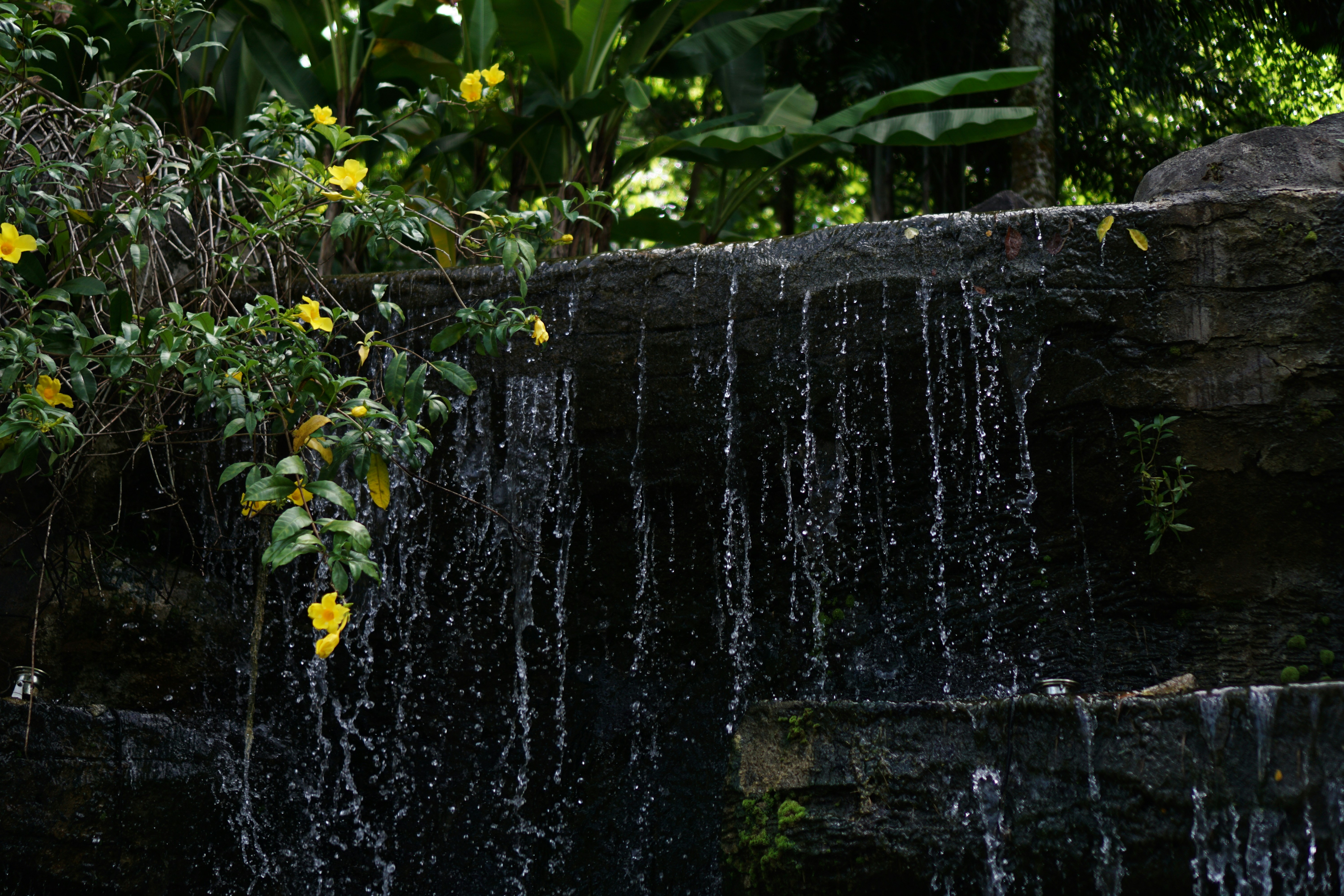 Photo by Yihui Chan with Sony Alpha 6000