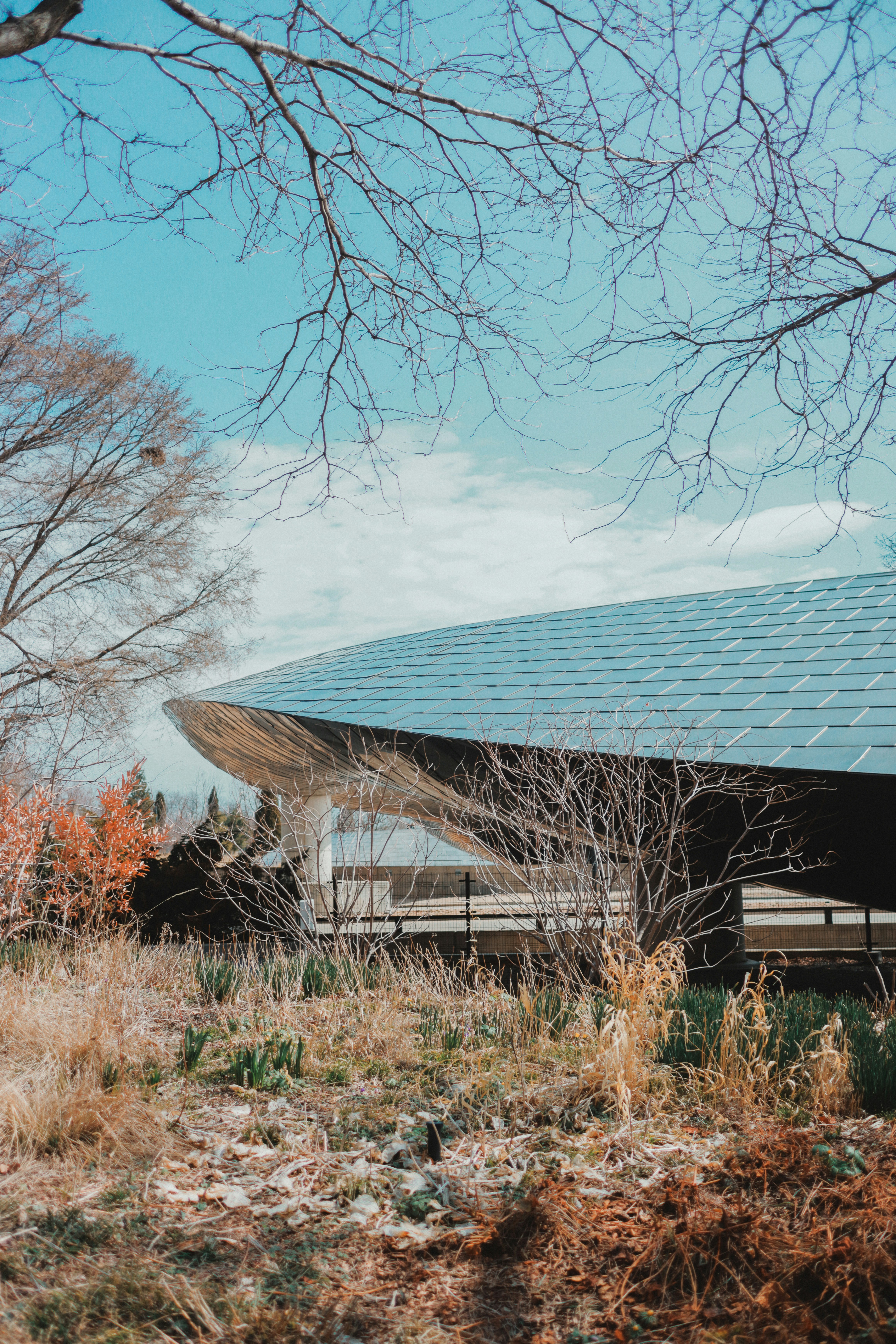 Harmony of Nature and Modern Design