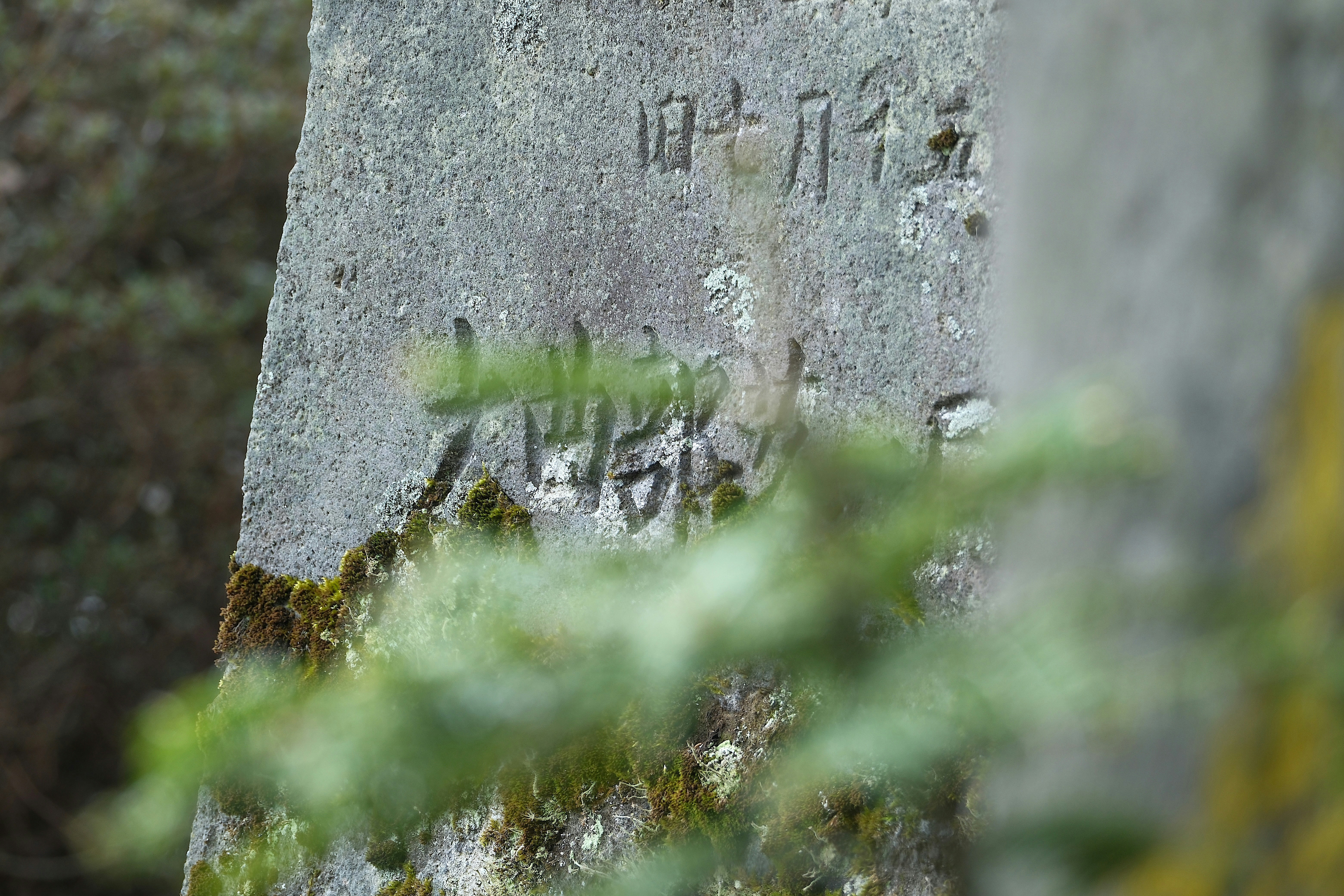 Ancient stone engraved with inscriptions, partially obscured by lush green foliage. Moss adds character to the weathered surface.