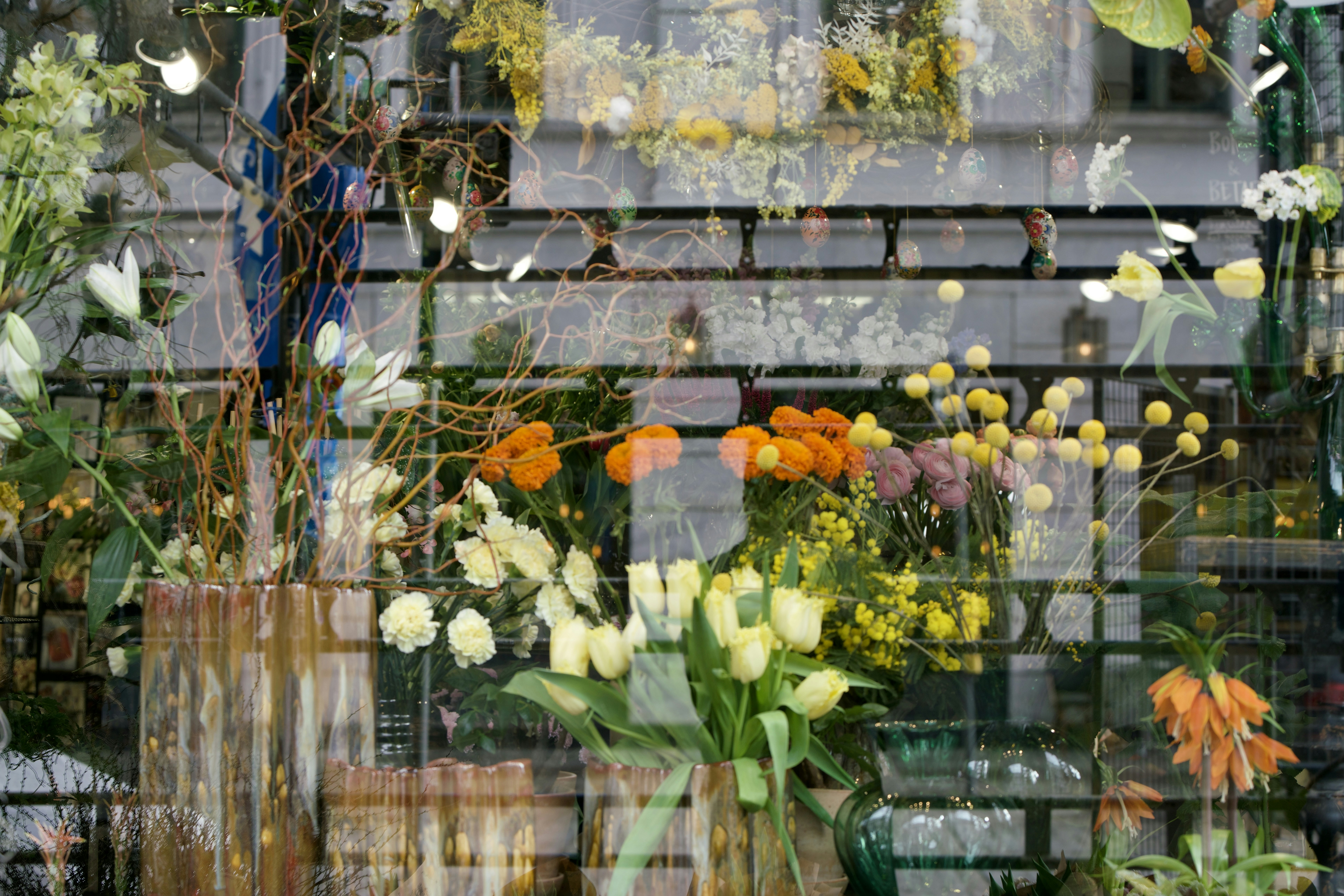 Photo by Garvit Nama with Sony Alpha 7R II