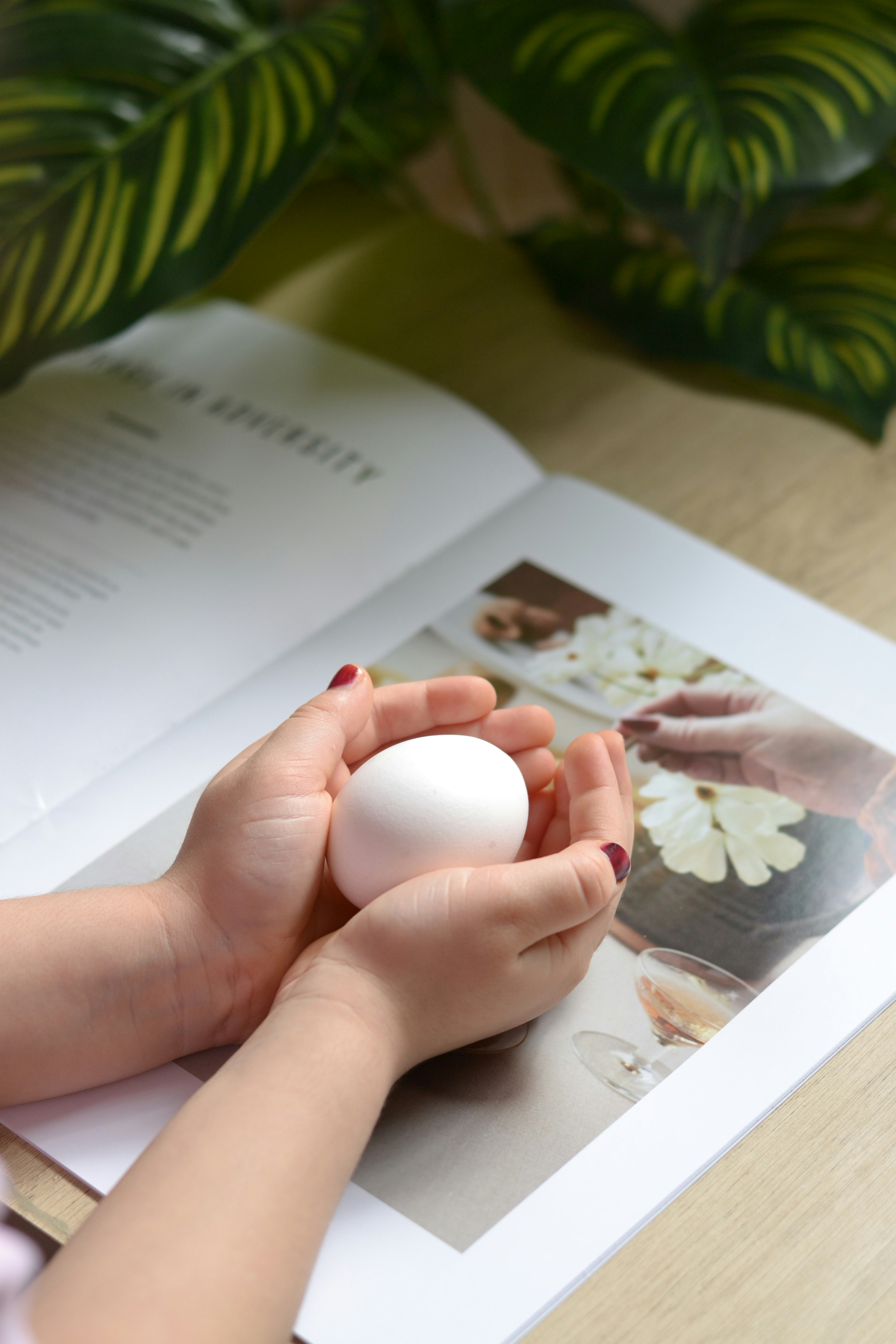 Child's hands gently cradling a white egg above an open book featuring floral images and elegant table settings.