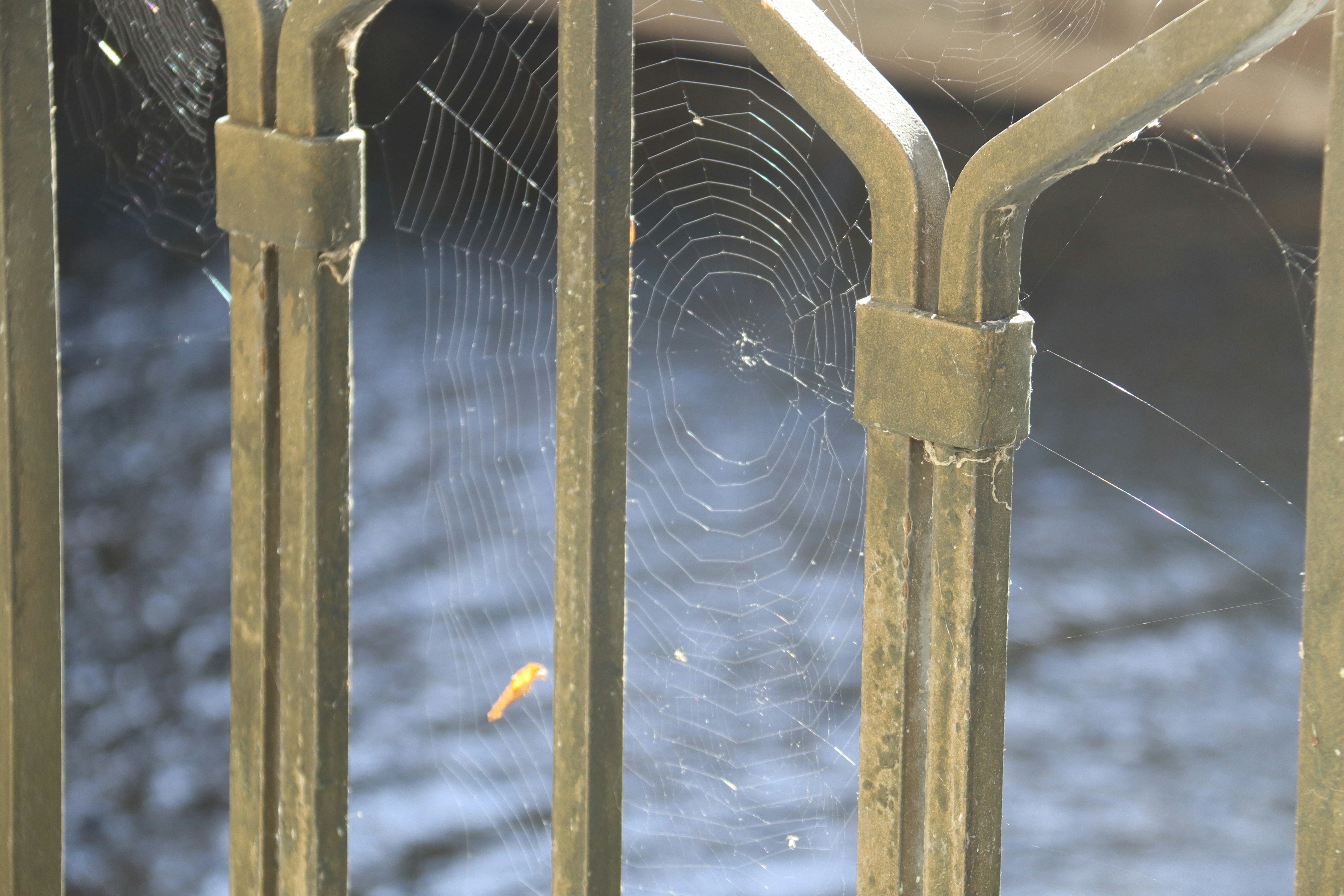 Web Between Bars: a delicate spider thread framed by weathered iron above rippling water