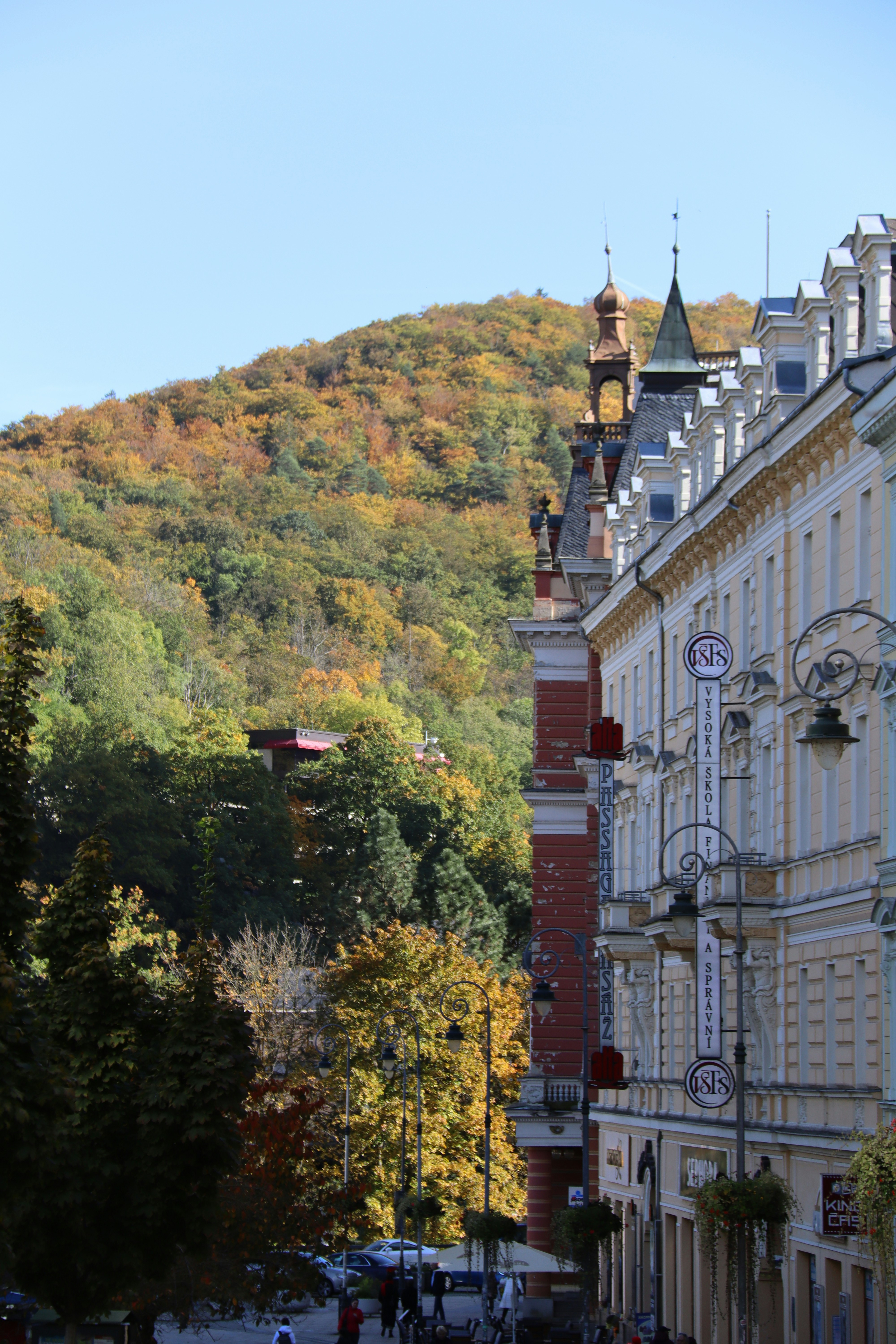 Photo by Shalev Cohen with Canon EOS 850D