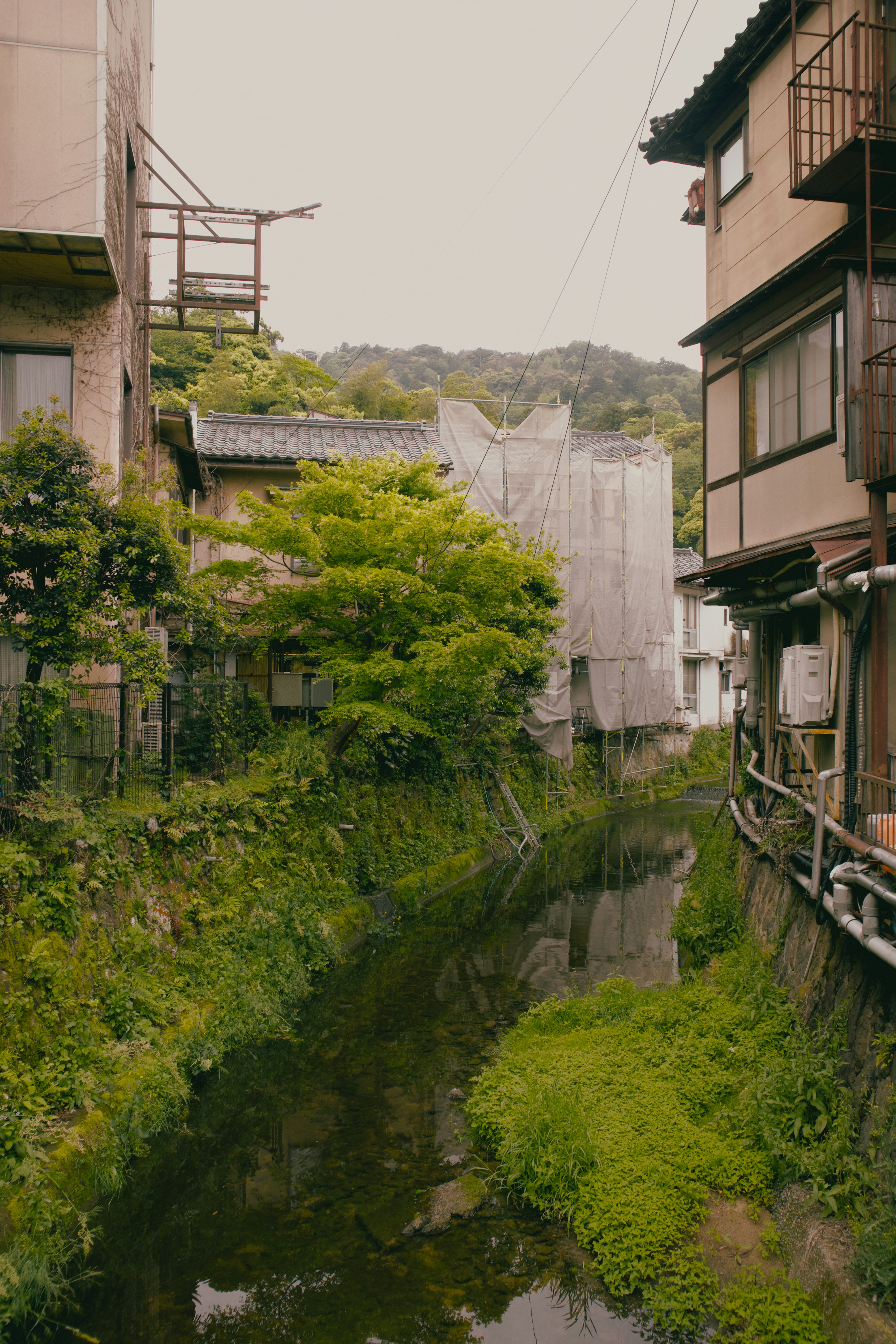 Quiet Canal Between Dwellings: A Slice of Urban Tranquility