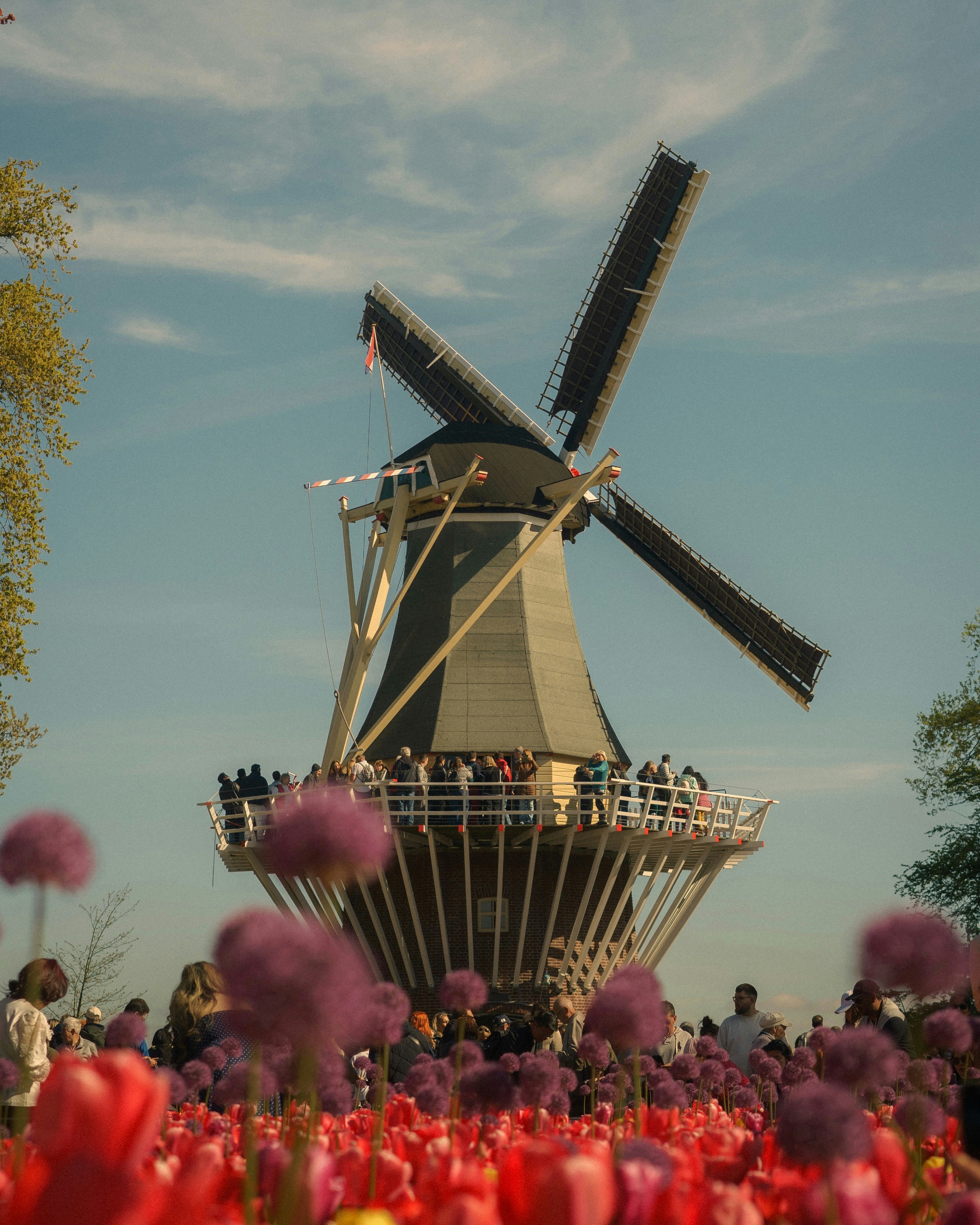 Crowded Horizon: A Windmill Sculpture Rises Over a Sea of Bloom