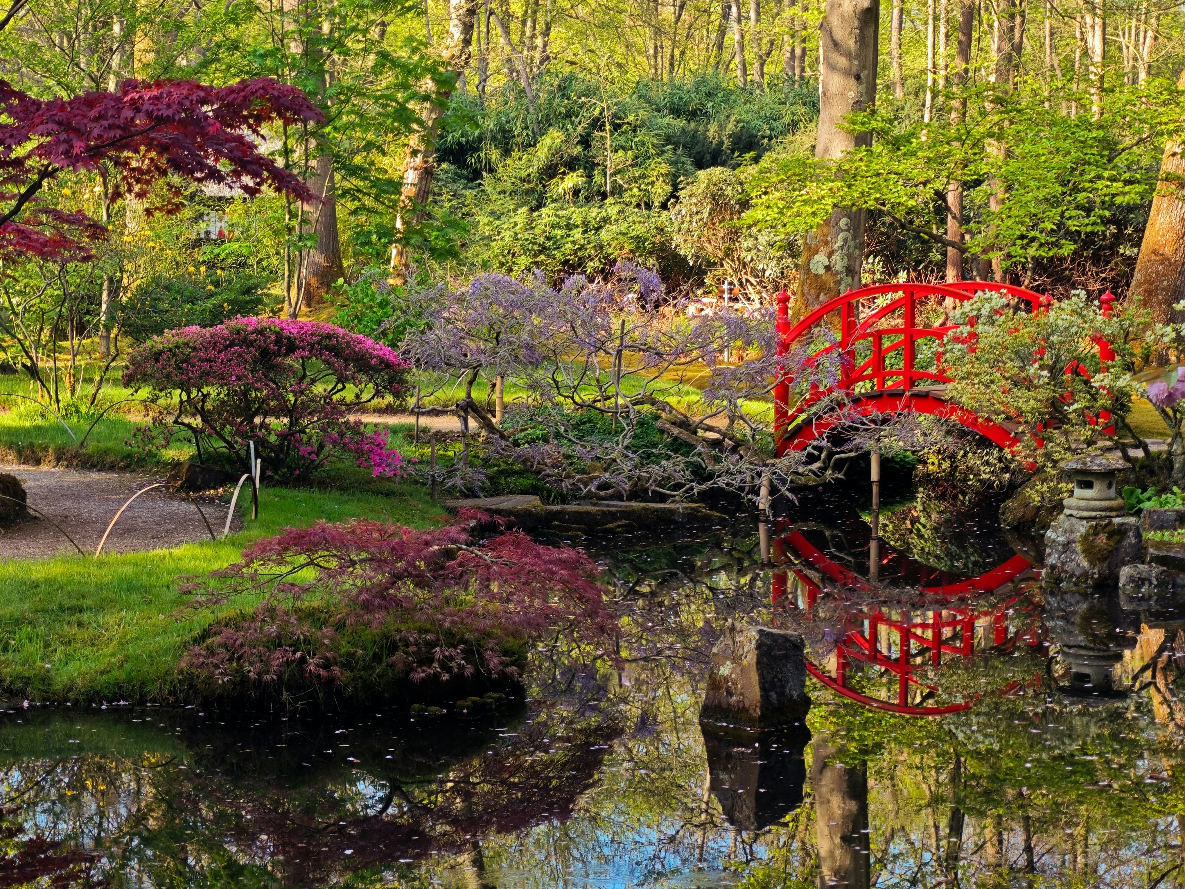 Photo by Kathy Cat with Xiaomi Mi 14