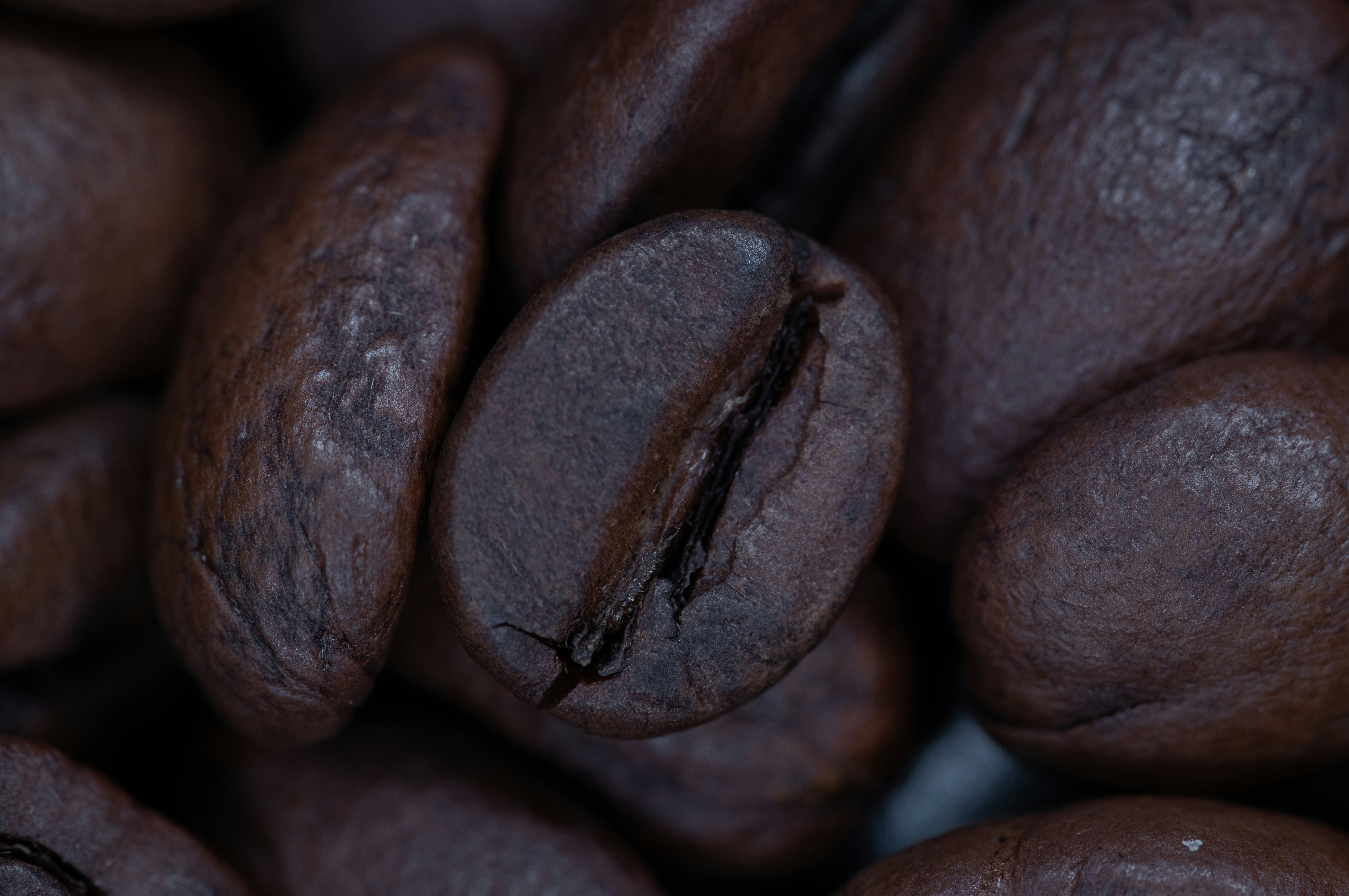 Close-up view of roasted coffee beans.
