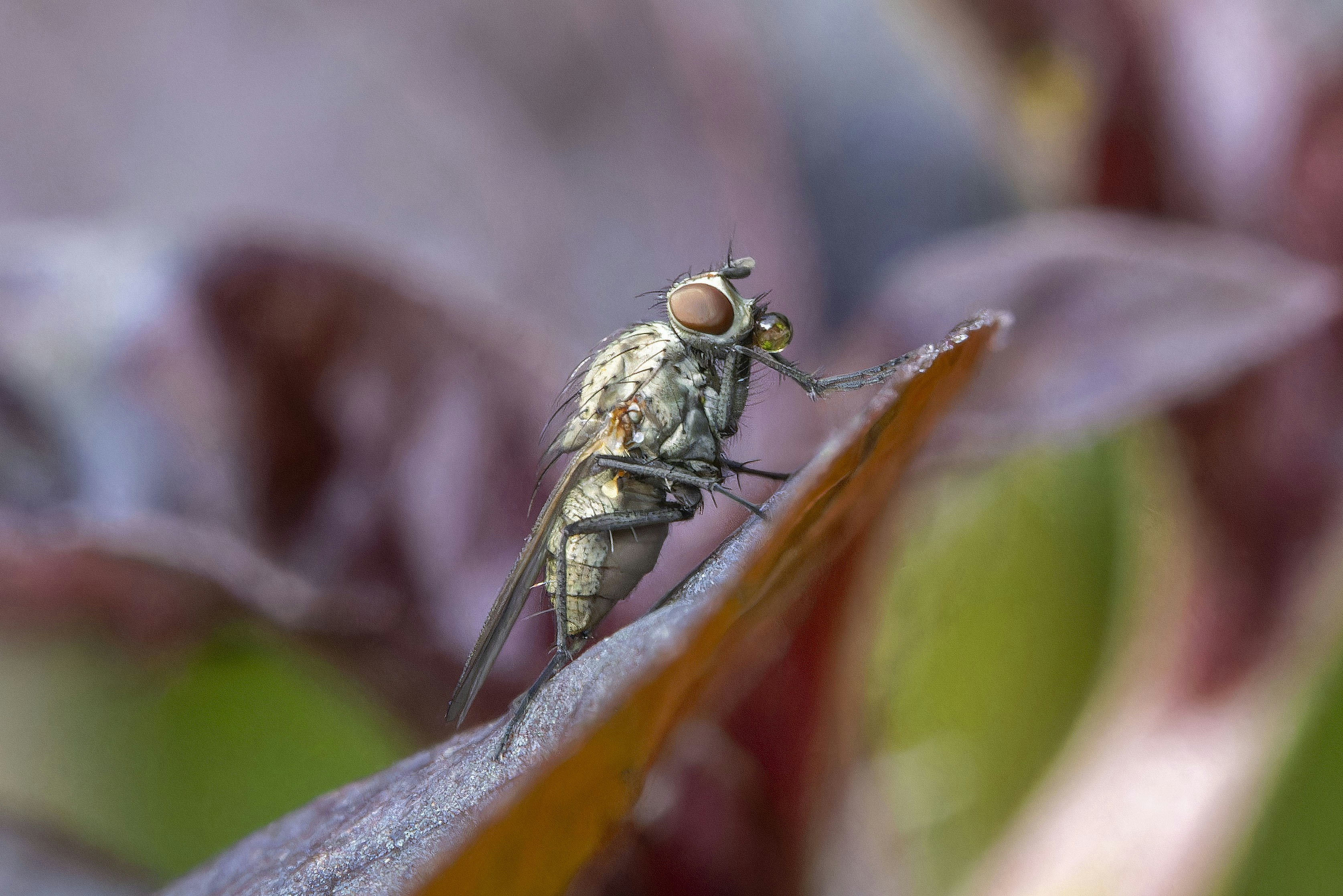 Wietse Jongsma (@wietsej) | Comunidad de fotos de Unsplash