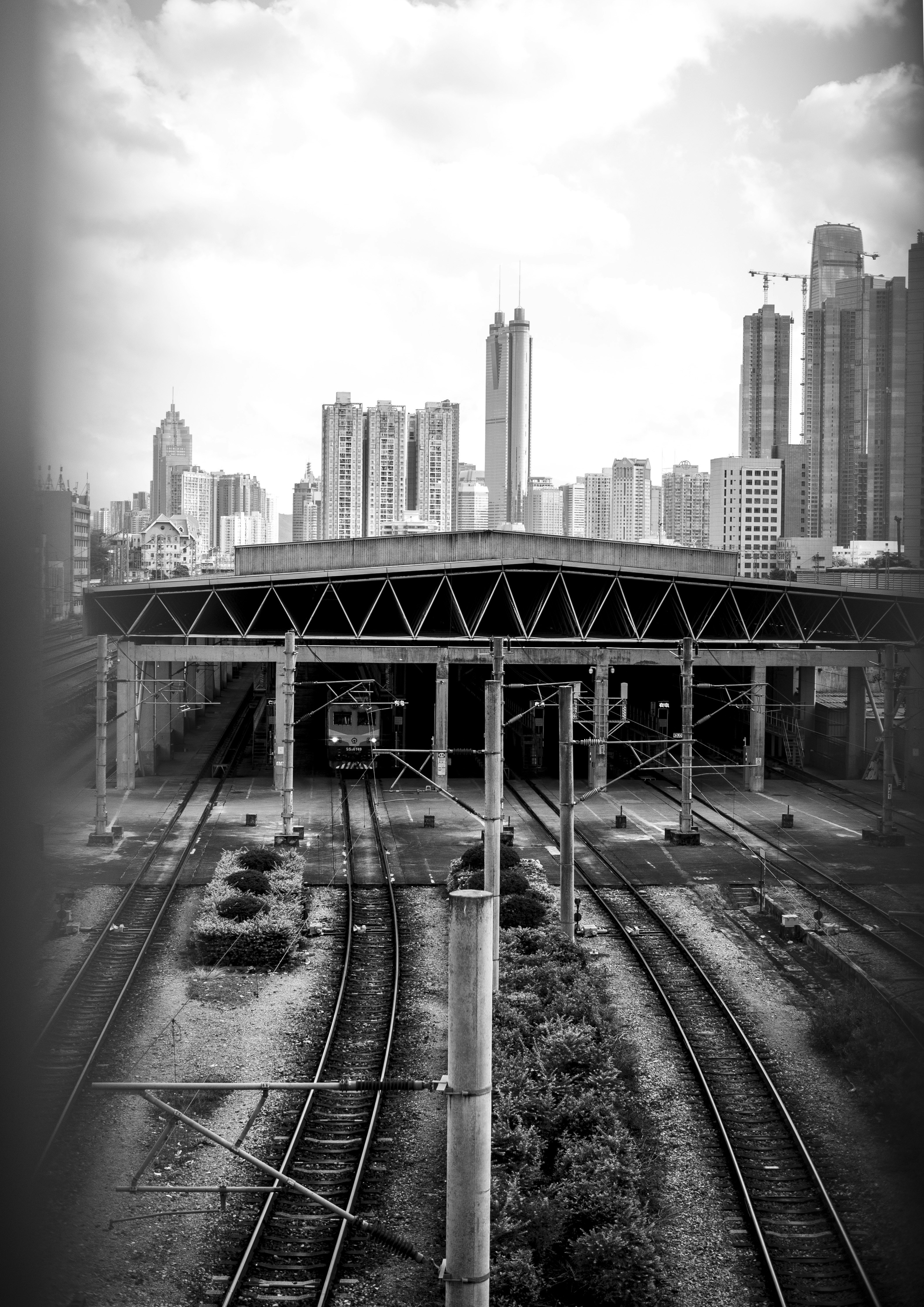 Convergence Under Steel Canopy: Rails to a Grayscale Skyline