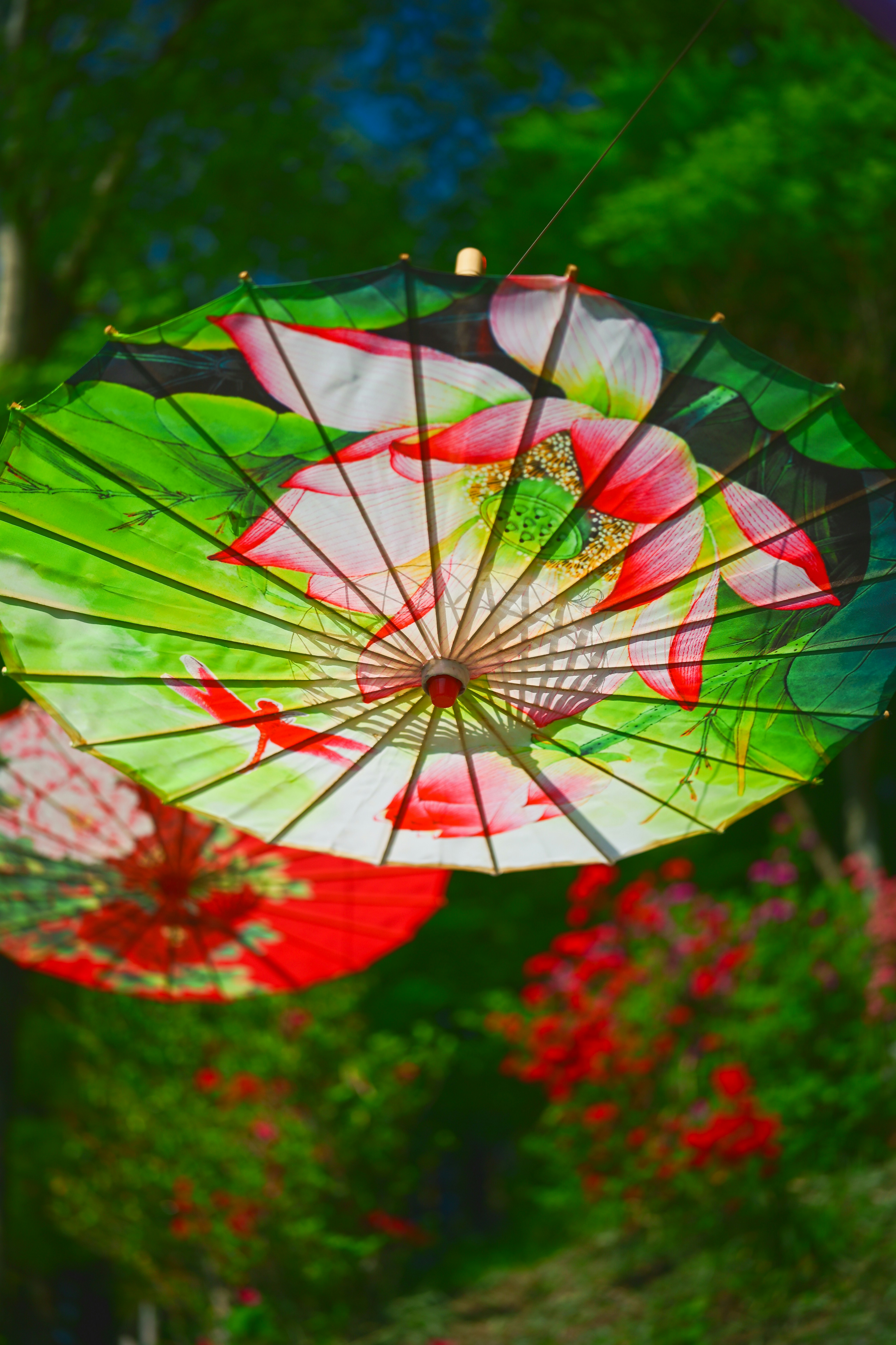 Photo by Kouji Tsuru with Nikon Z5 II