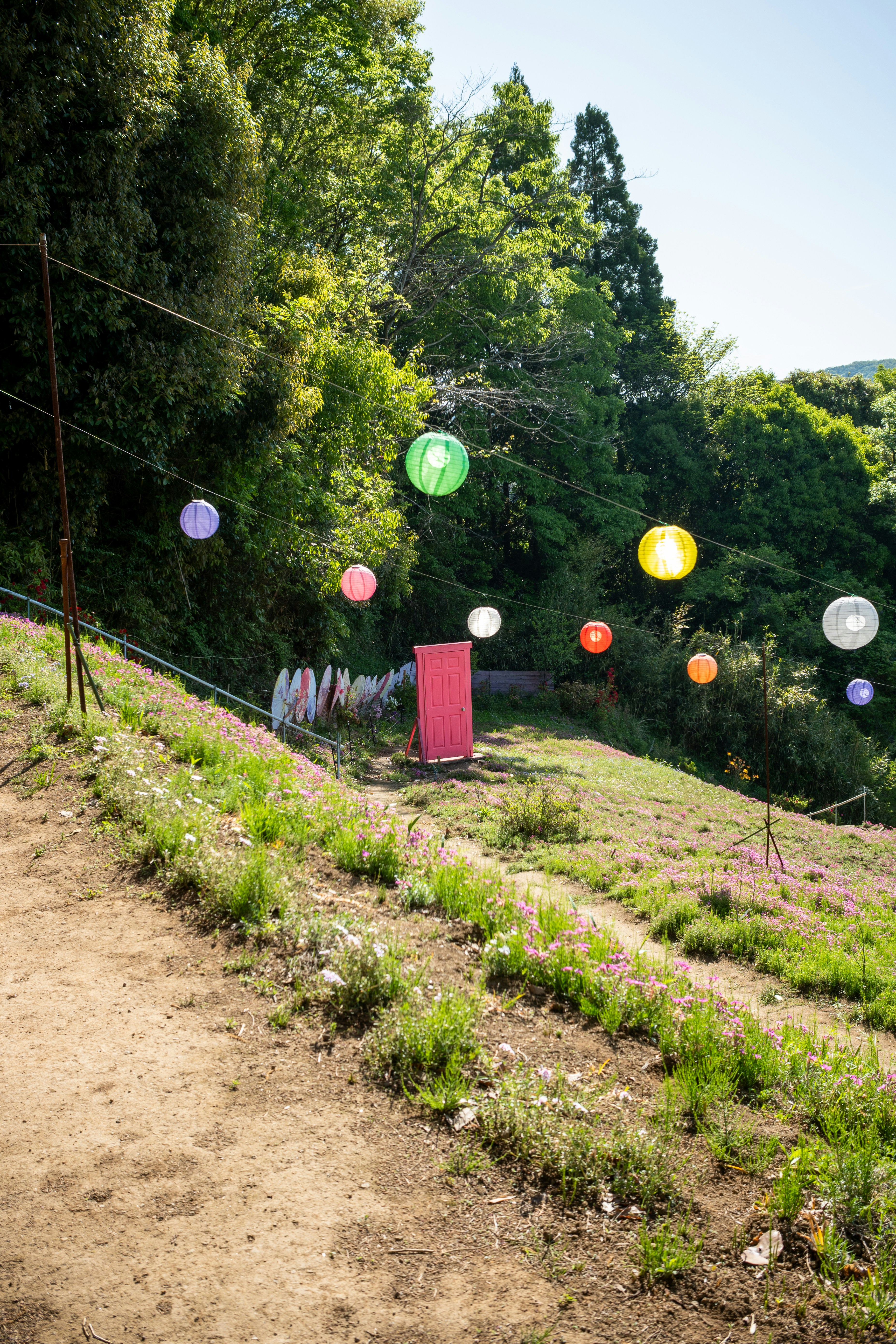 Nikon Z50 II Sample Shots