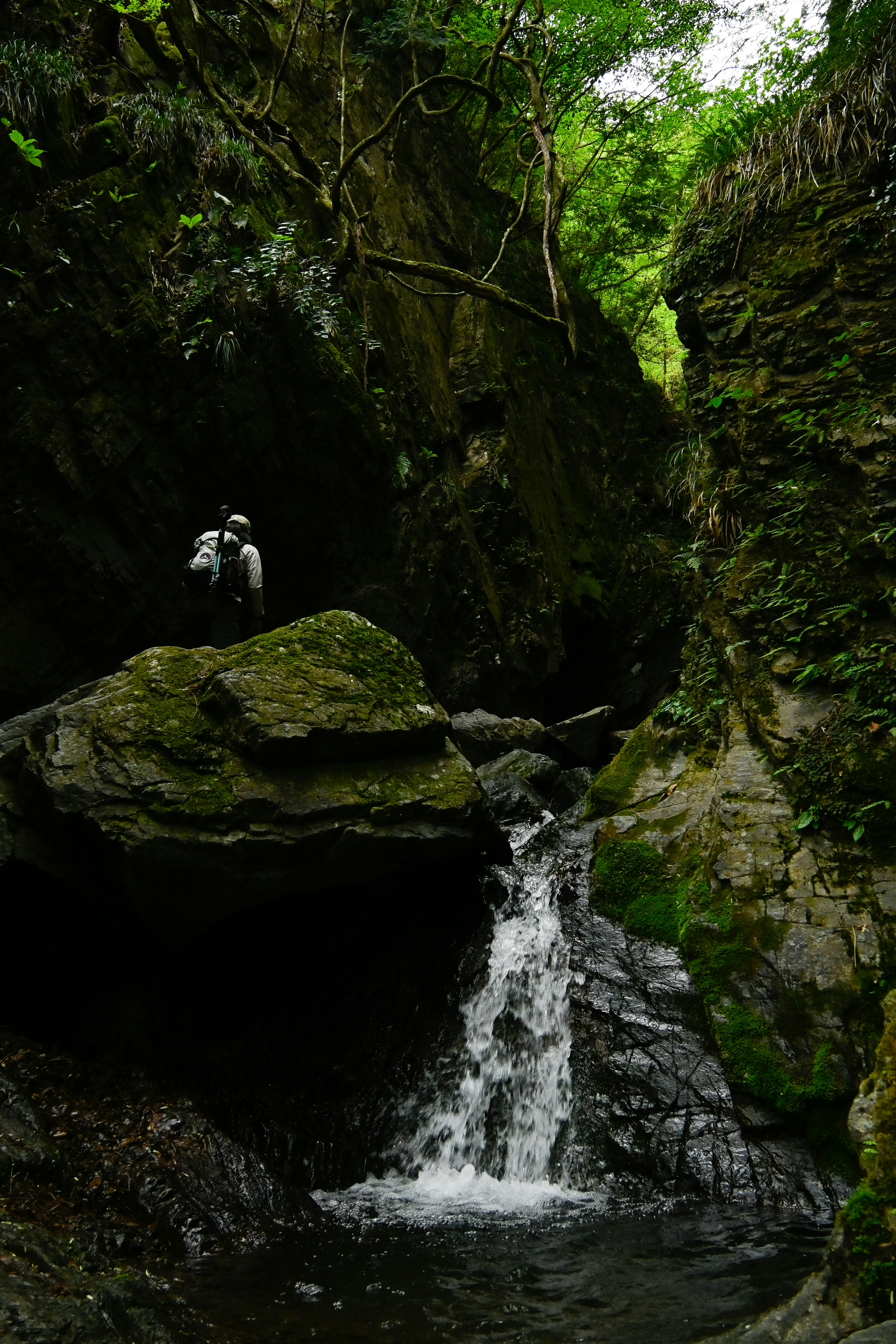 Two Hikers in a Moss-Kissed Gorge Beside a Veiled Cascade