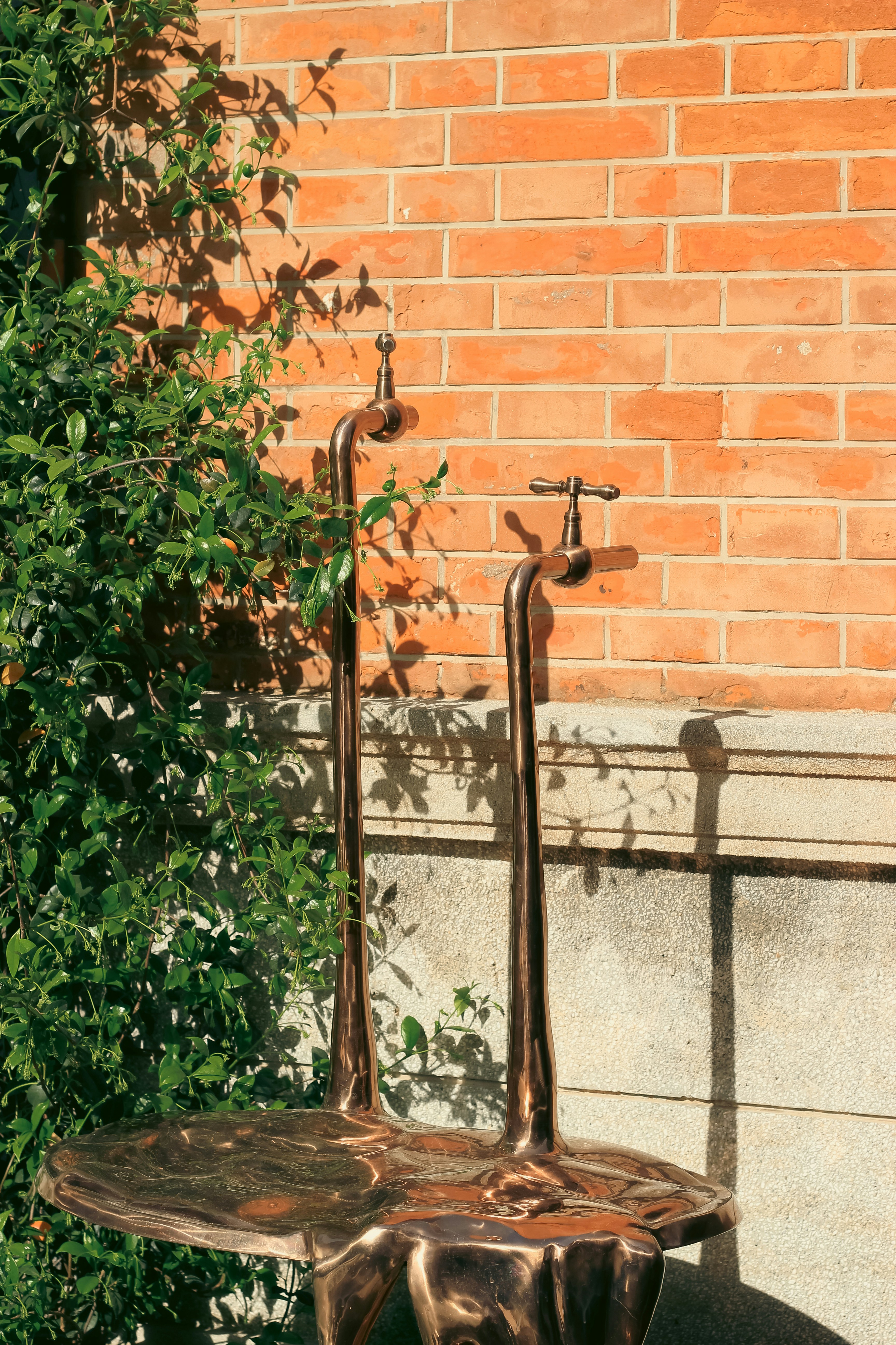 Whimsical Waterworks: A Dance of Nature and Art