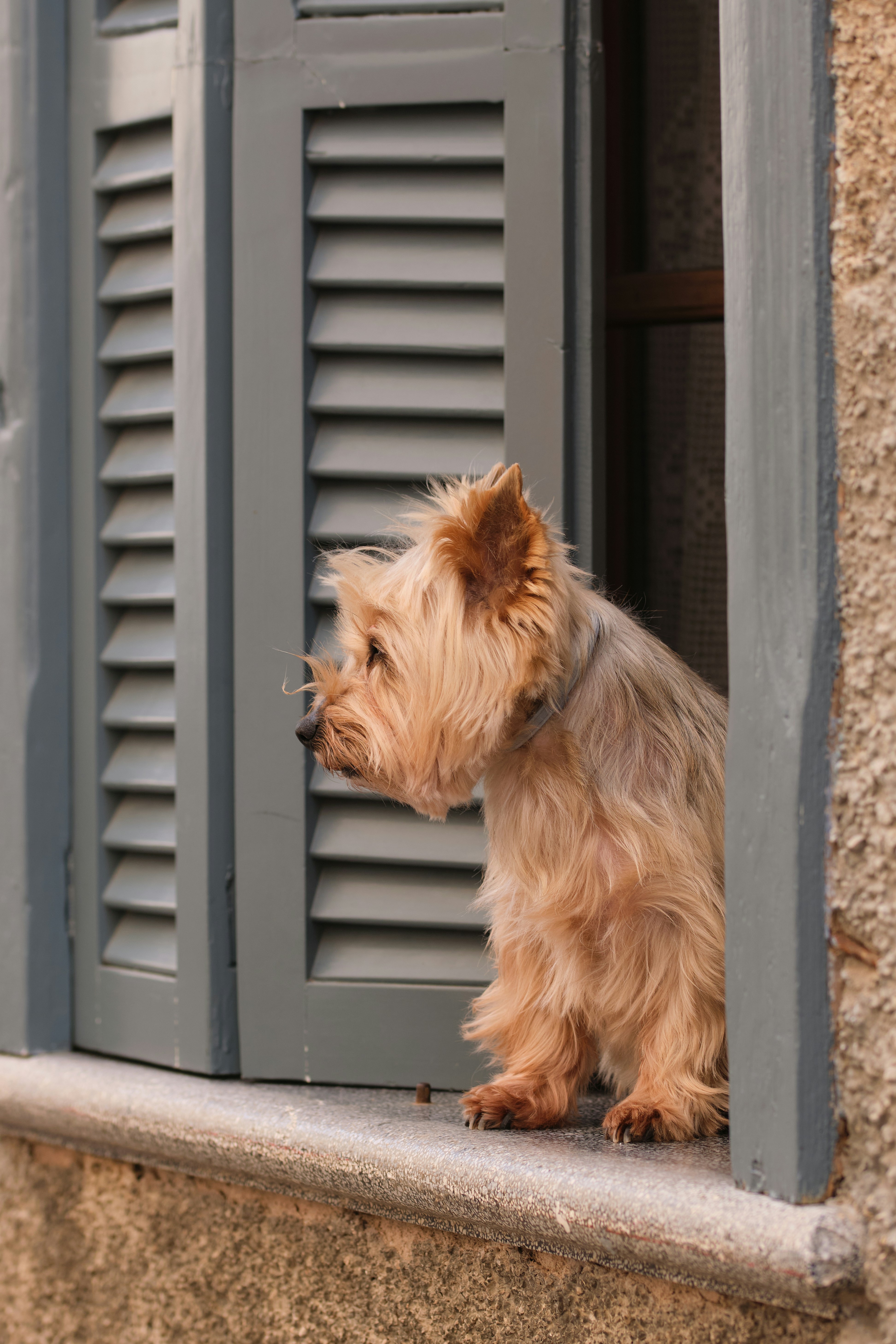 Photo by Tim Schmidbauer with Fujifilm X-T3