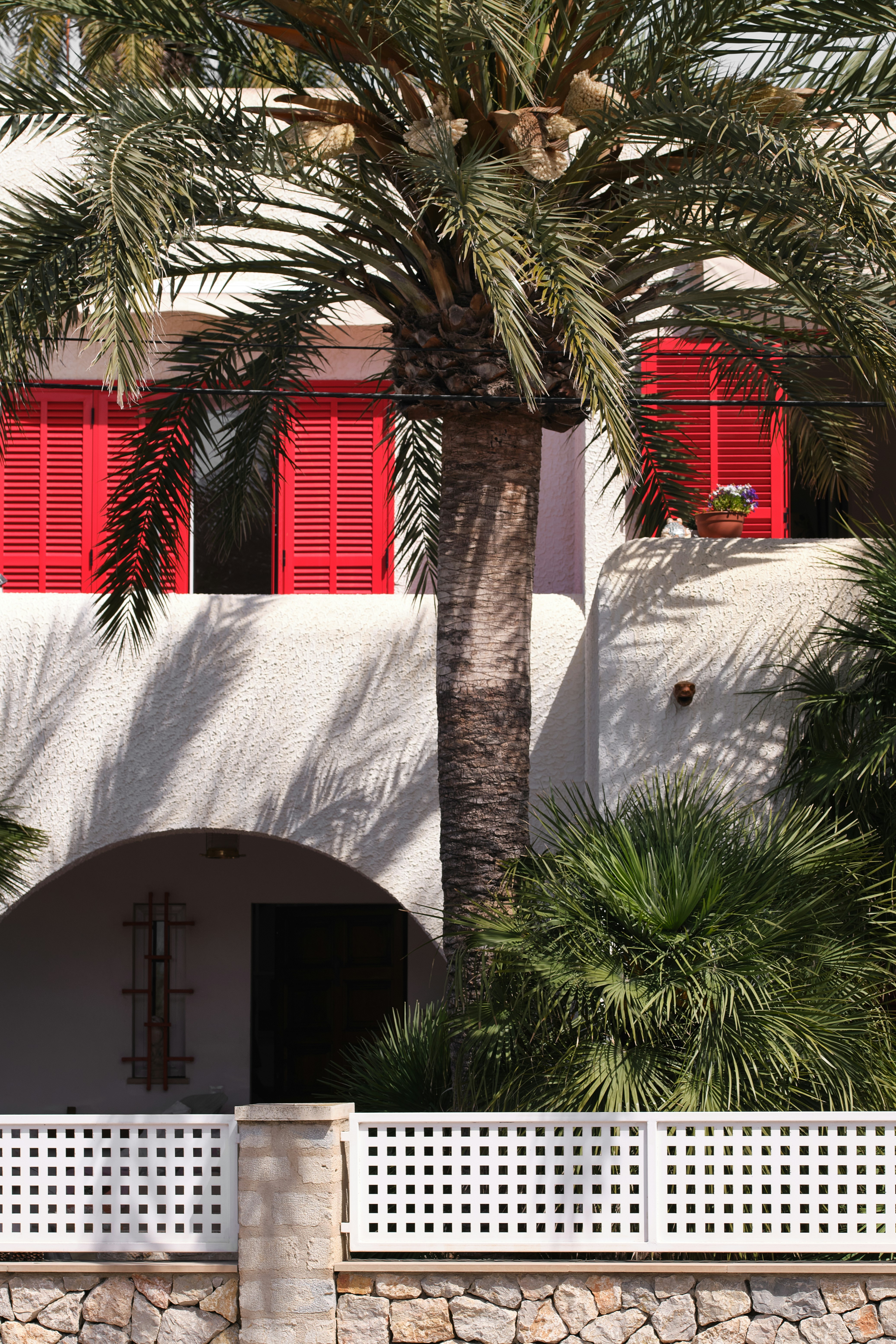 Palm-Framed Mediterranean Villa with Crimson Shutters