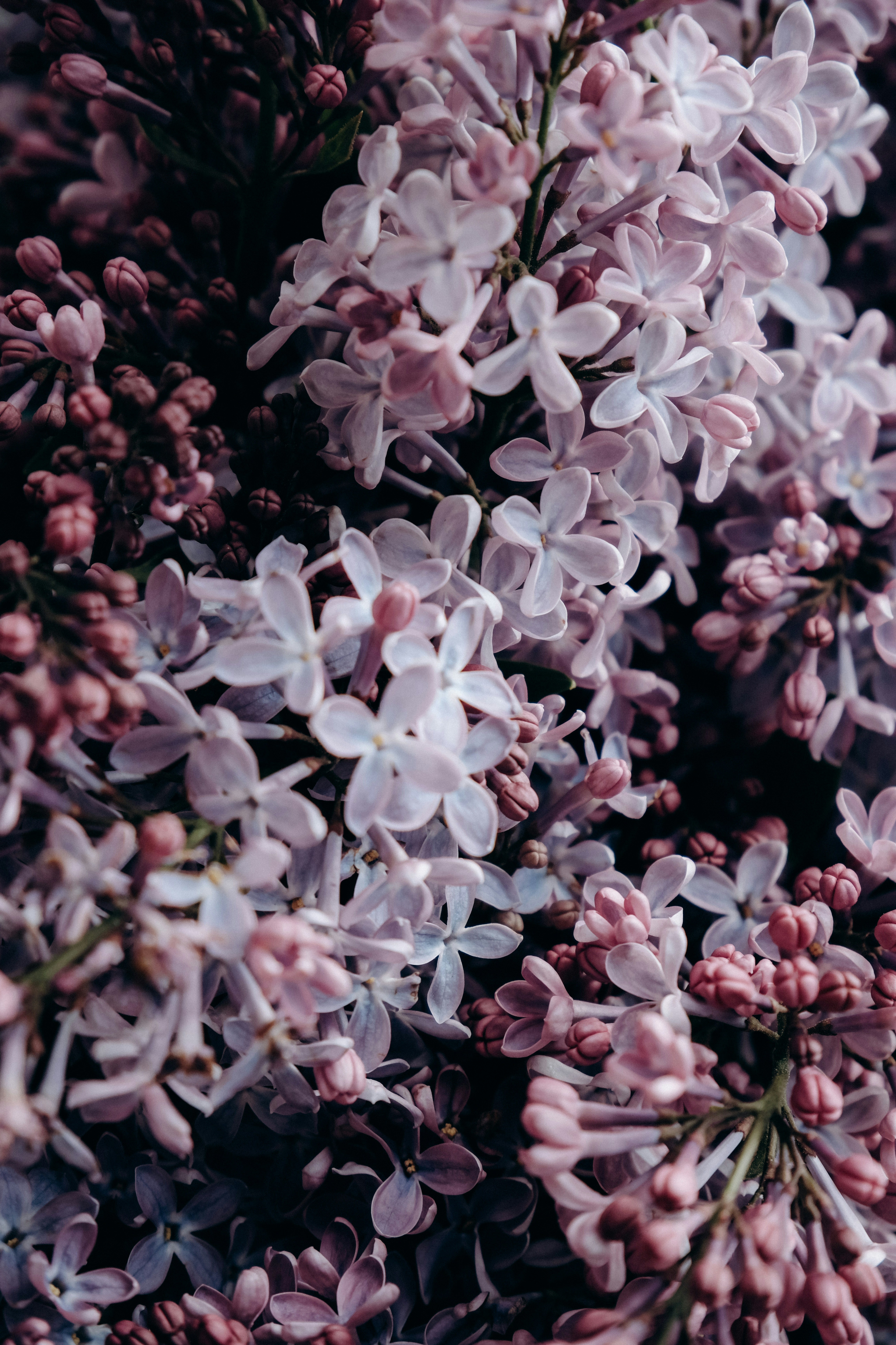 Photo by Katya Azimova with Fujifilm X-T50