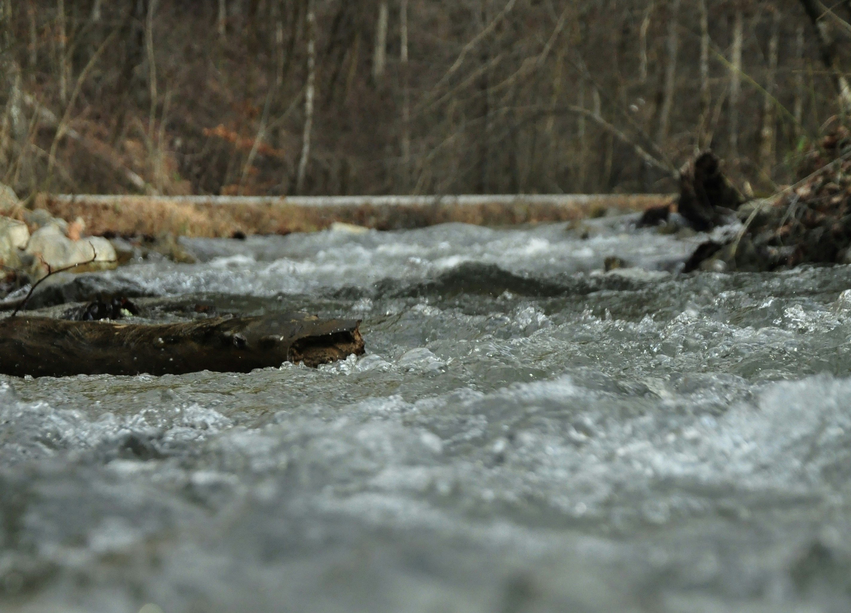 Whispers of the Stream: Nature's Flow