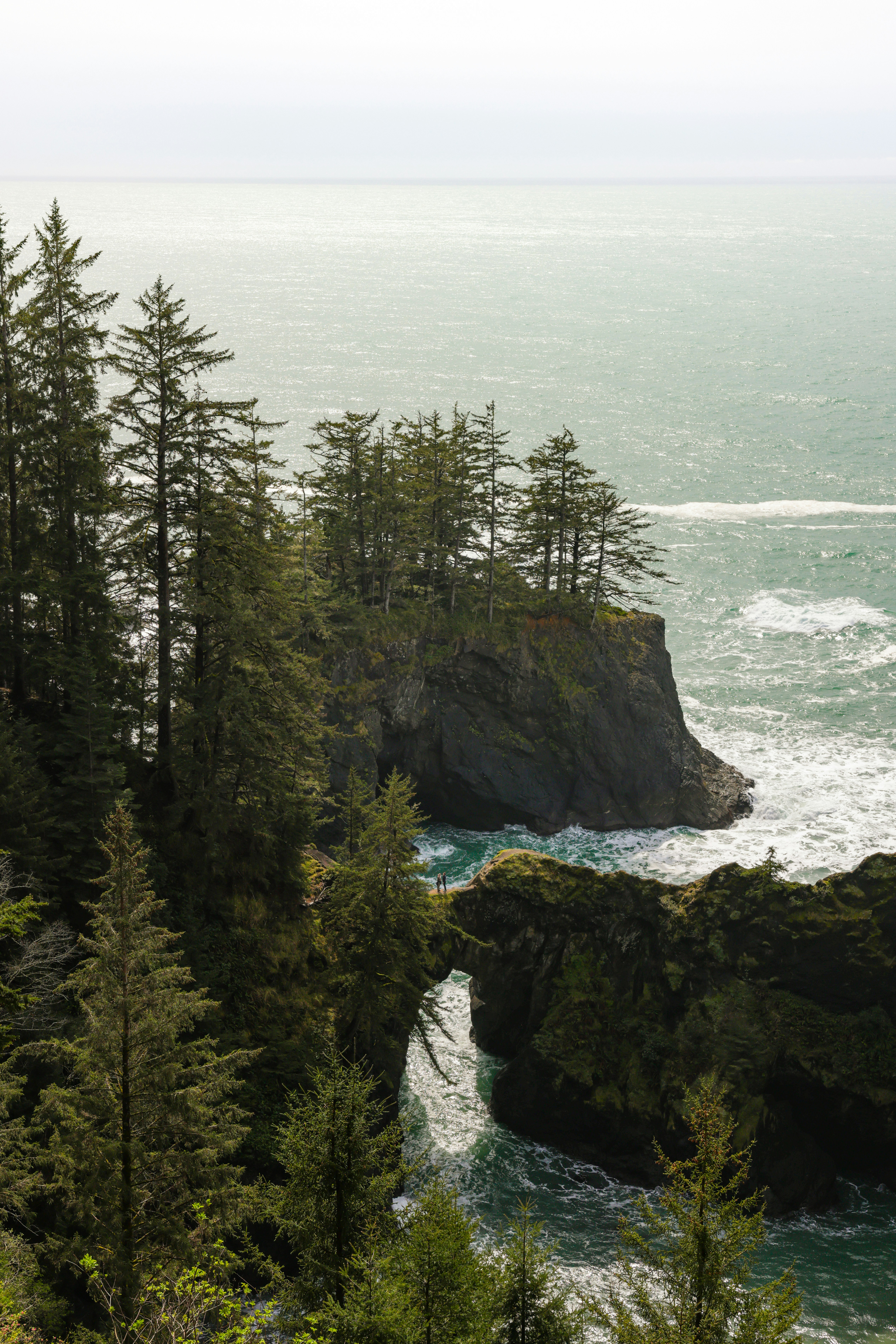 Les falaises côtières et les arbres surplombent la mer agitée. photo ...