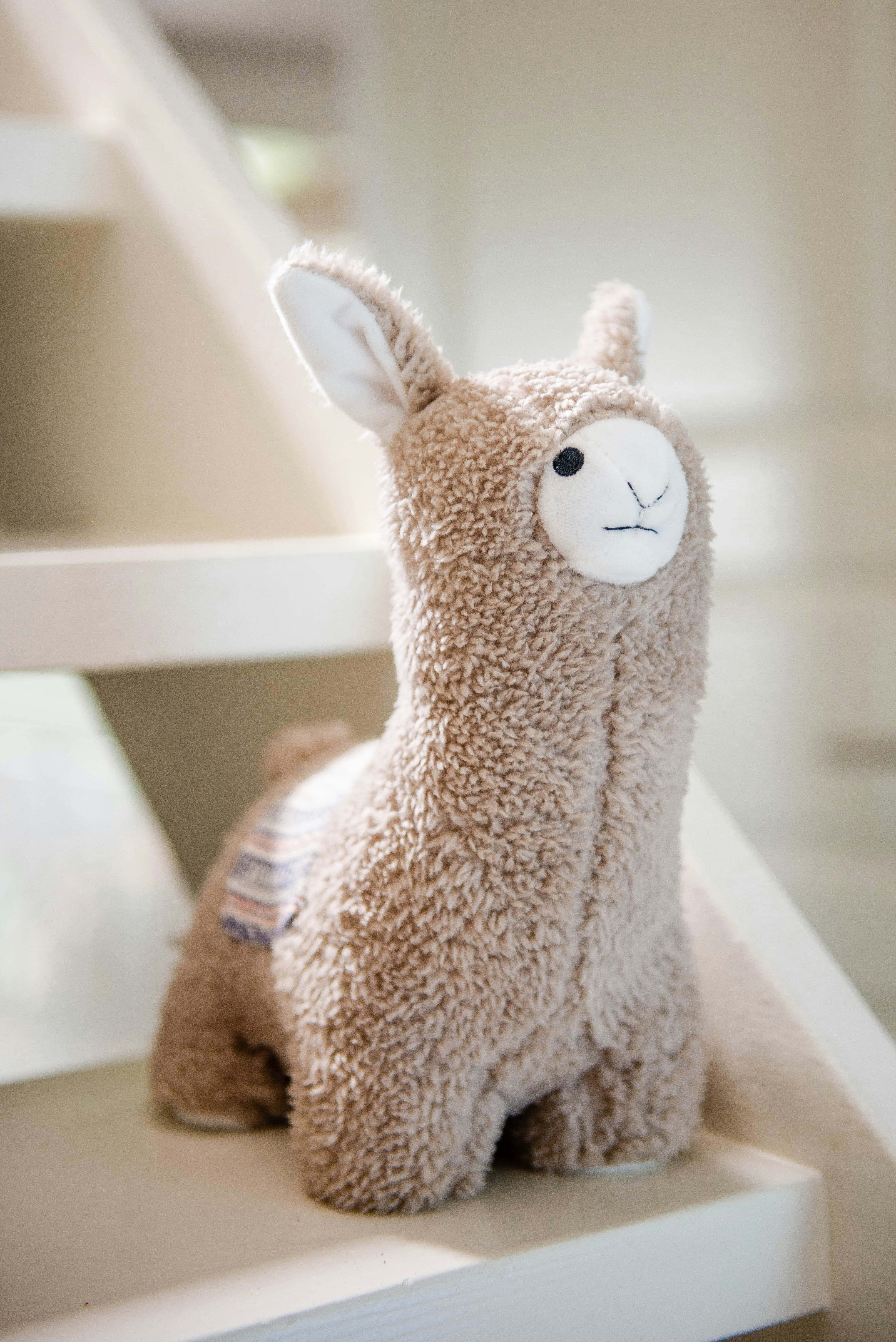 Staircase Sentinel: A Cozy Plush Alpaca under Soft Natural Light