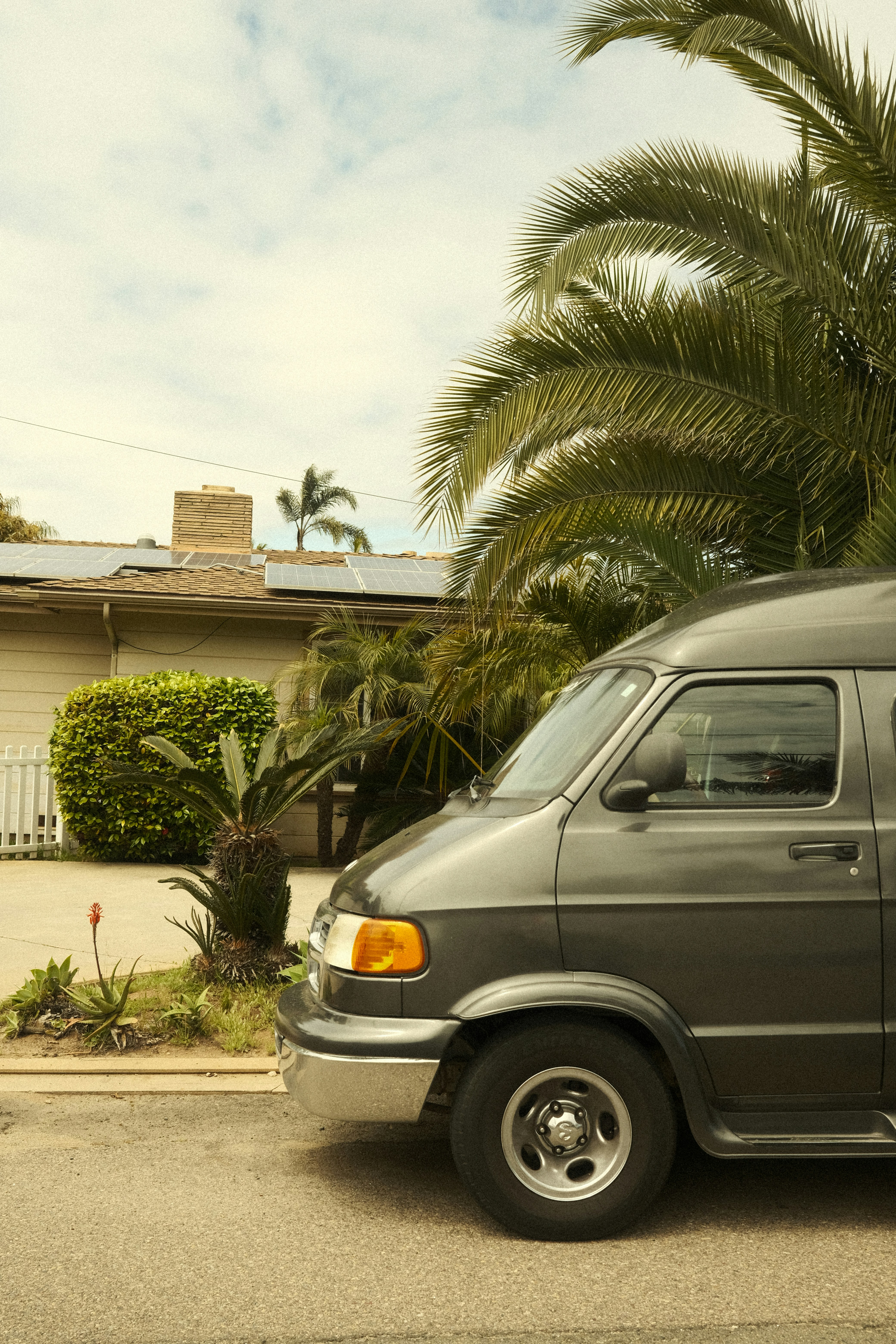 A grey van parks in a tropical neighborhood.