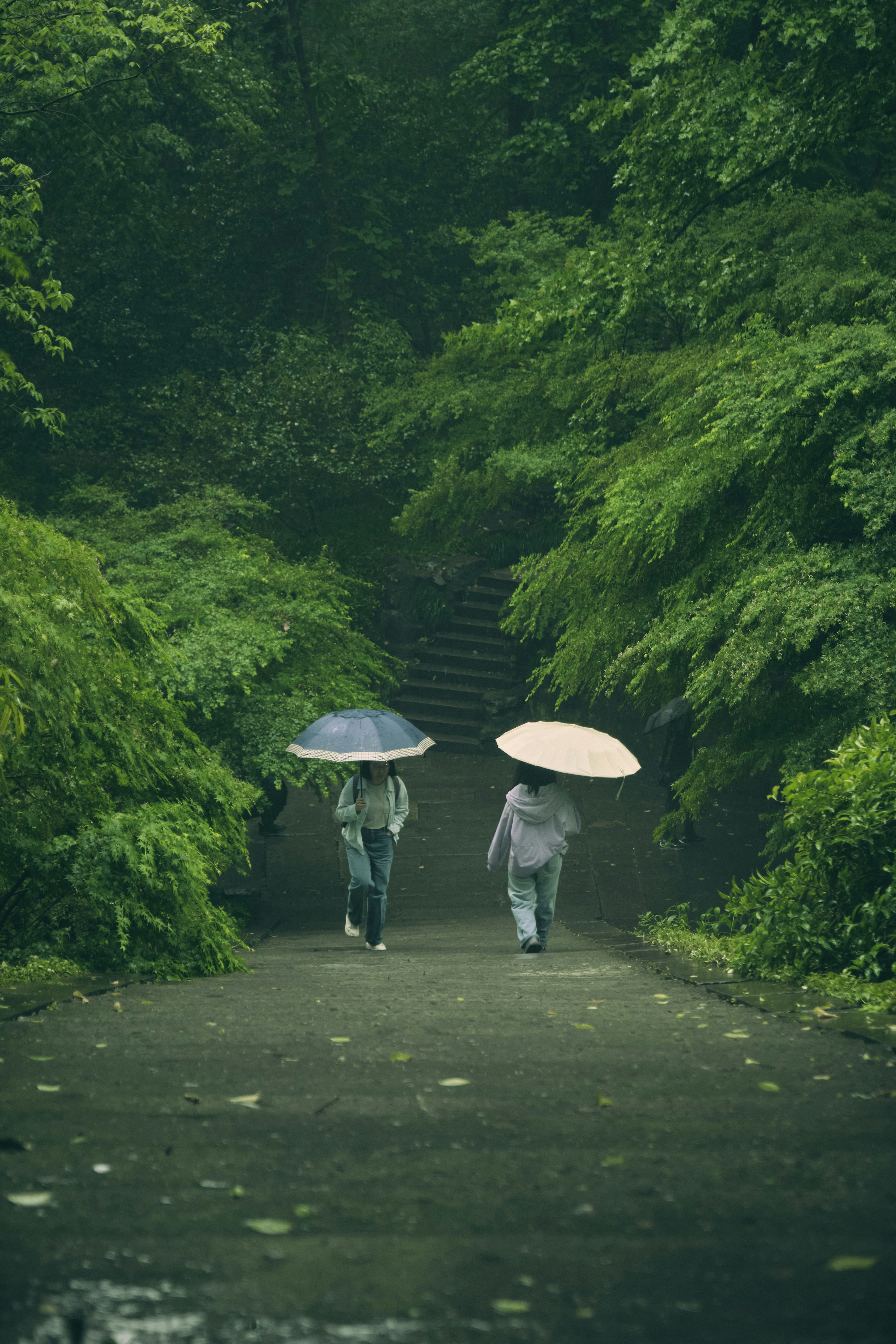 Two people walk in a green, rainy park. photo – Free Wallpaper Image on Unsplash