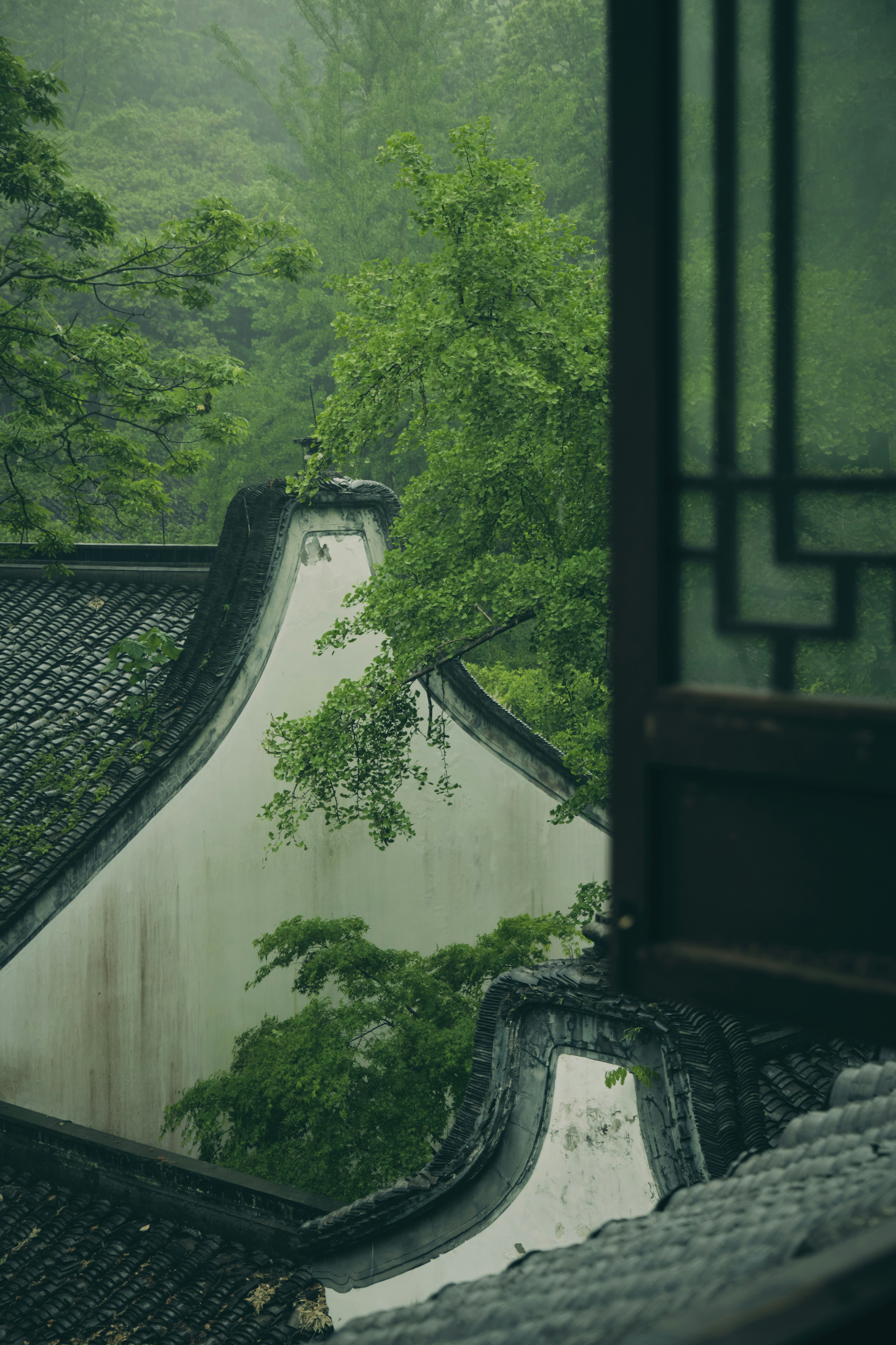 Photo by Seele An with Fujifilm X-H2