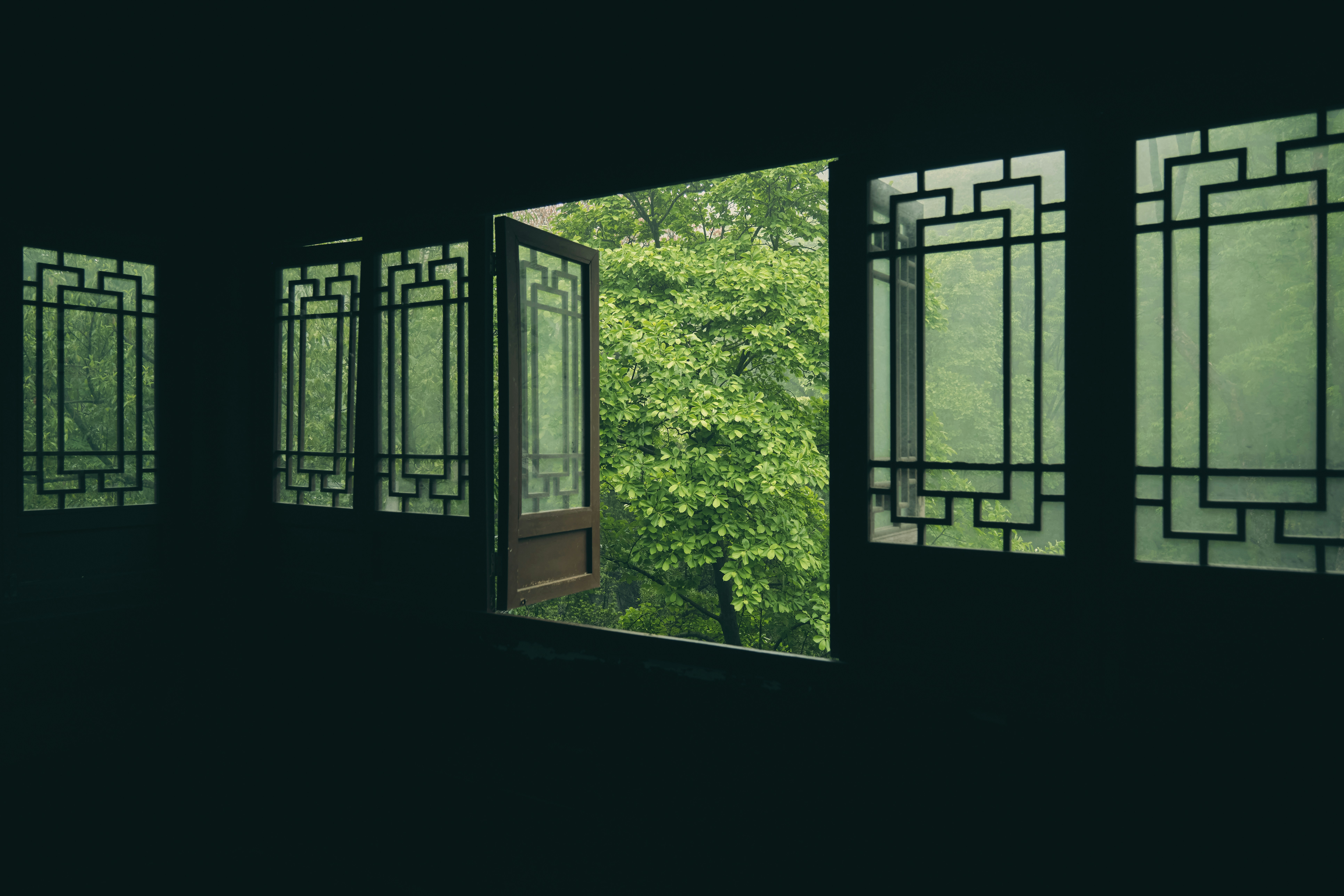 Windows reveal lush greenery and natural light. photo – Free Wallpaper ...