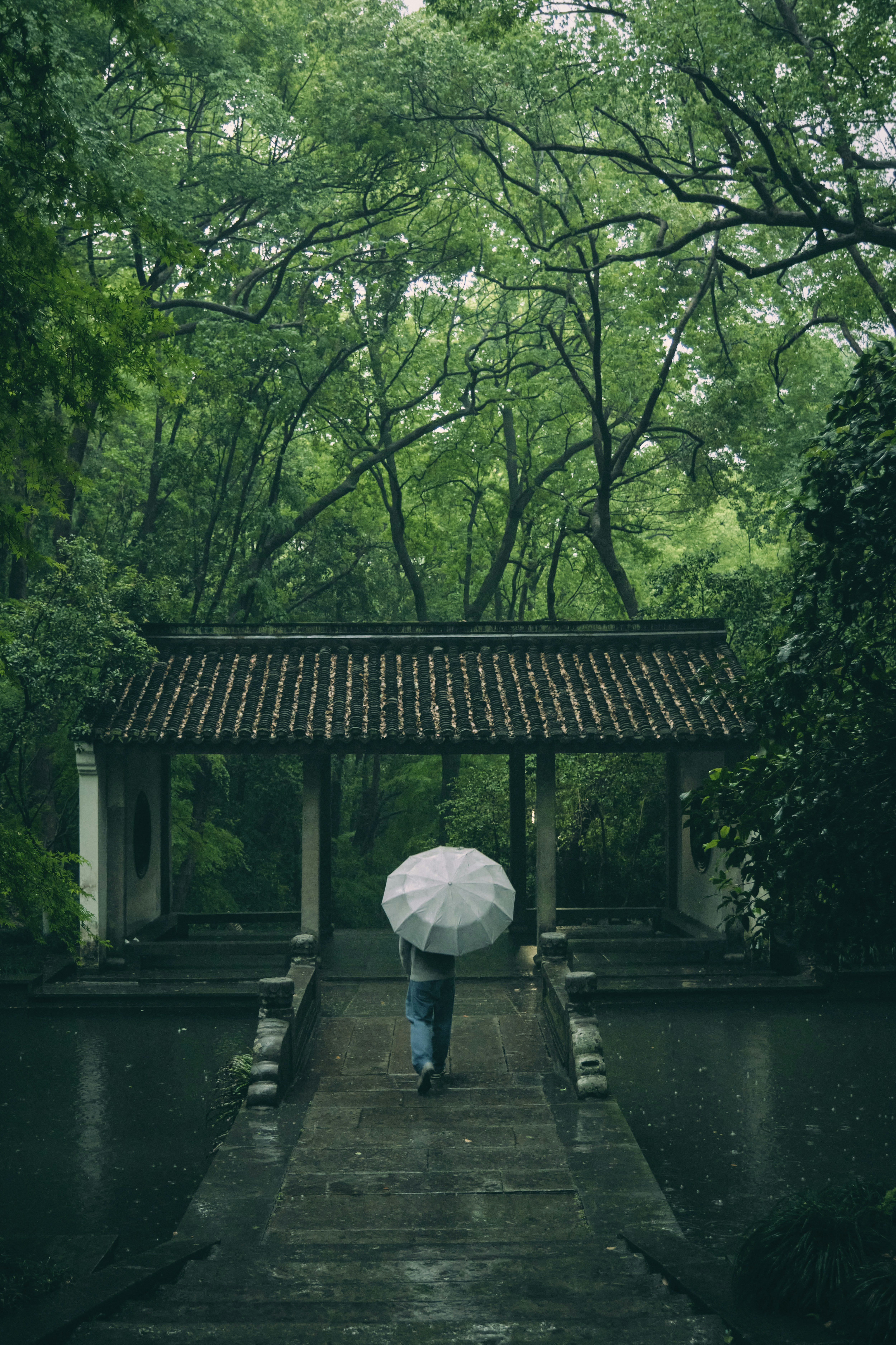 A solitary figure with a white umbrella walks toward a traditional pavilion along a mossy stone path in a rain-drenched, verdant garden. Photograph.