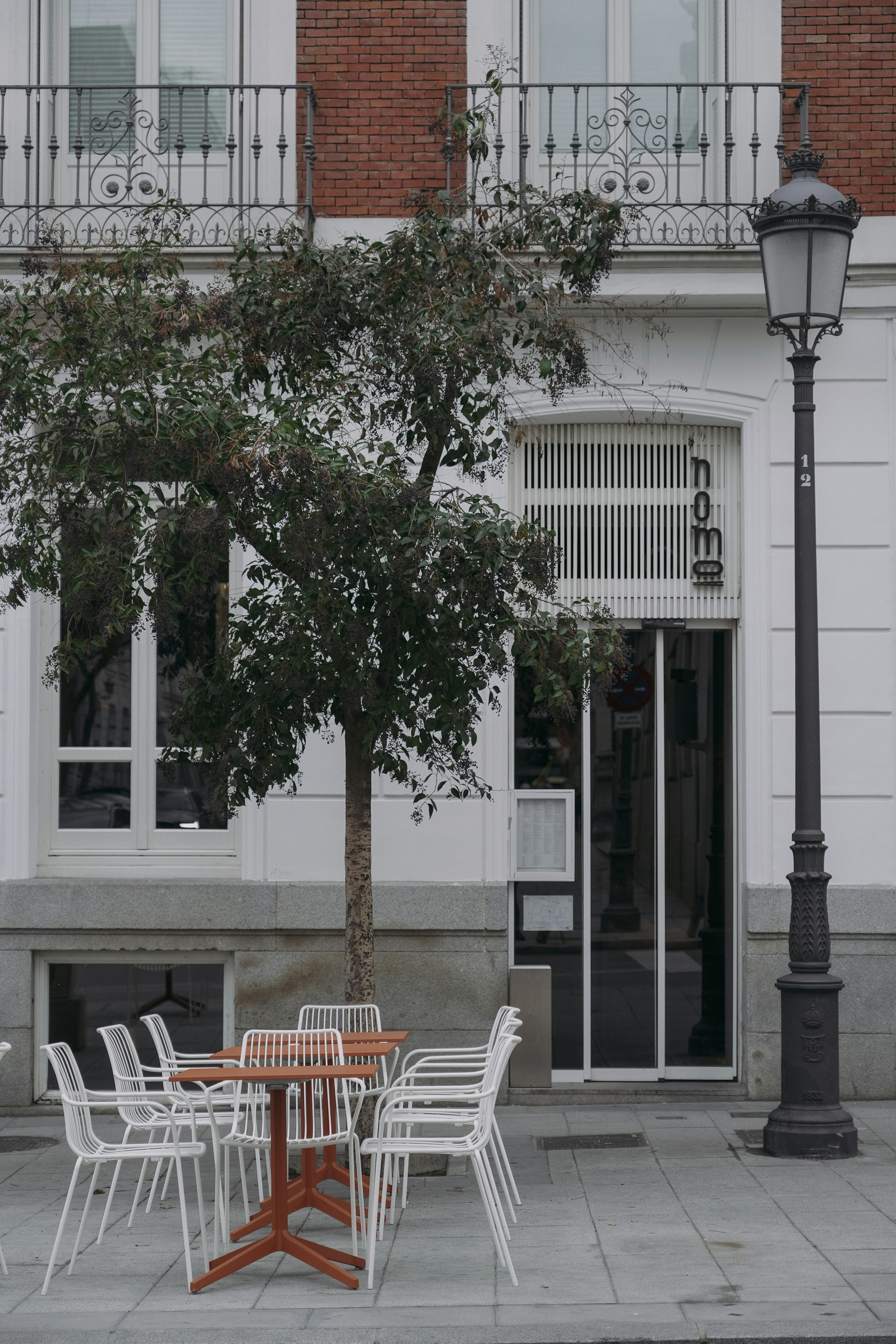 Urban Quiet: A Café Corner Under a City Tree