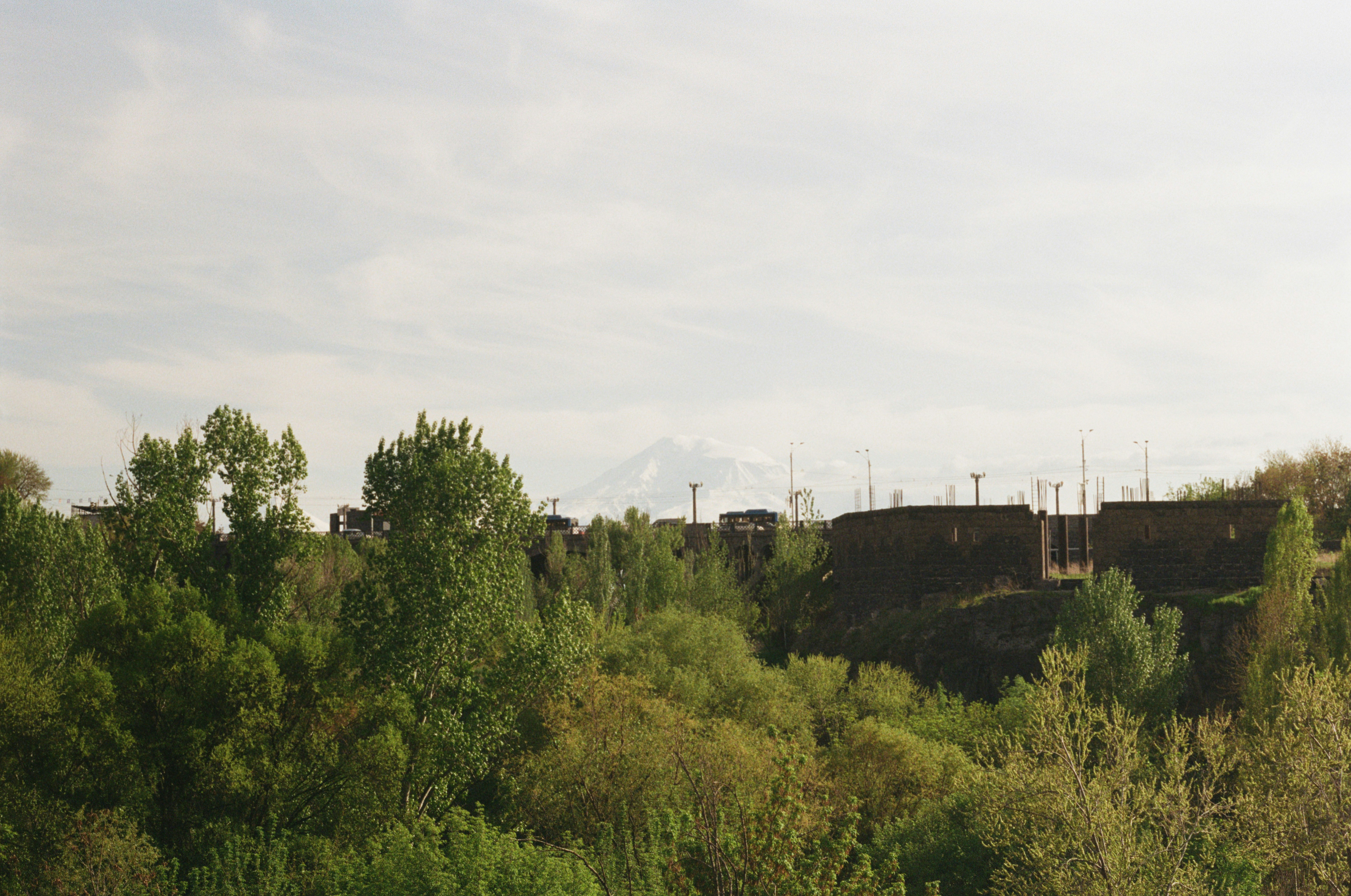 Photo by Charlie Harland with Asahi Pentax Spotmatic F